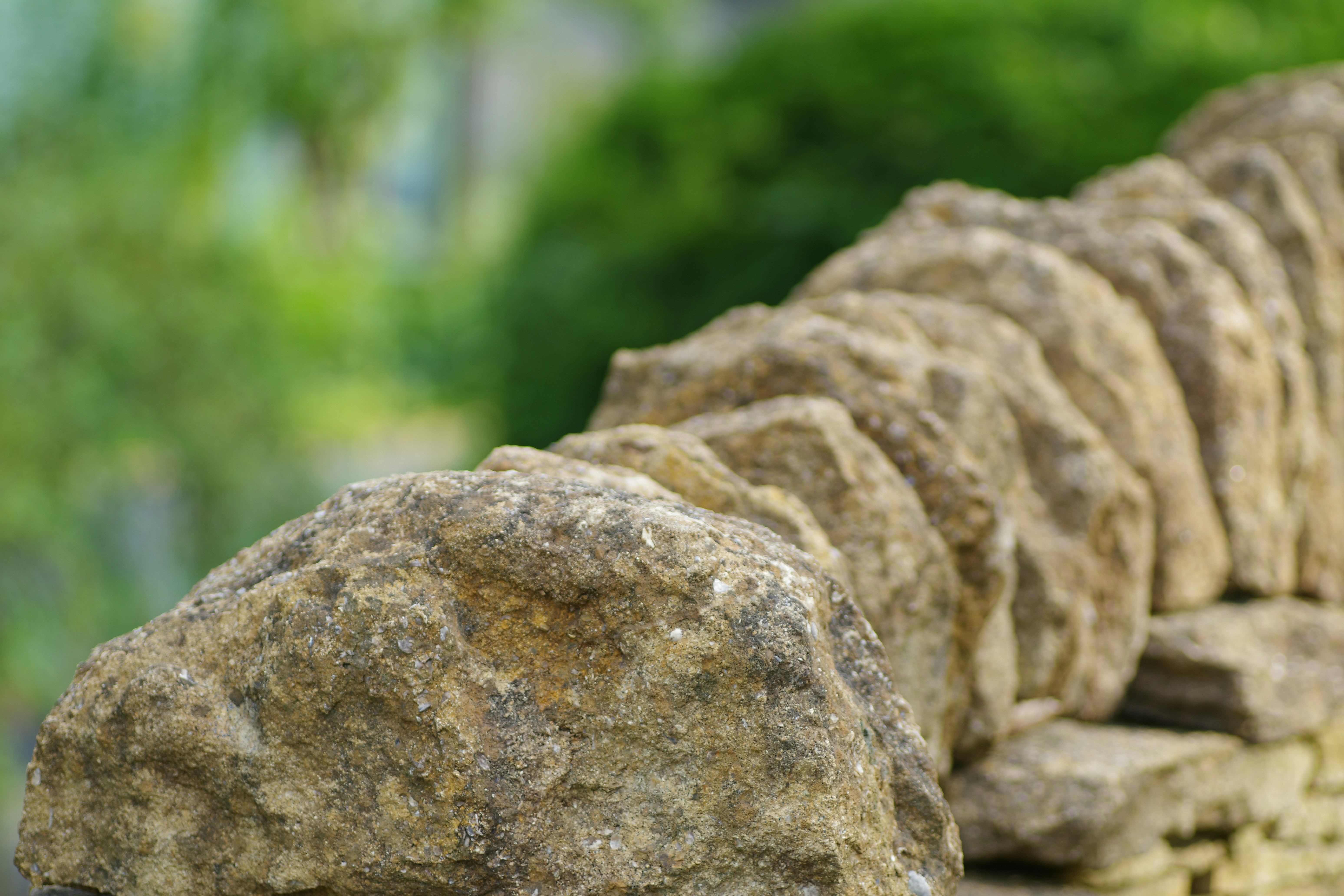 Weathered Granite Row: Texture in a Soft-Blurred Garden