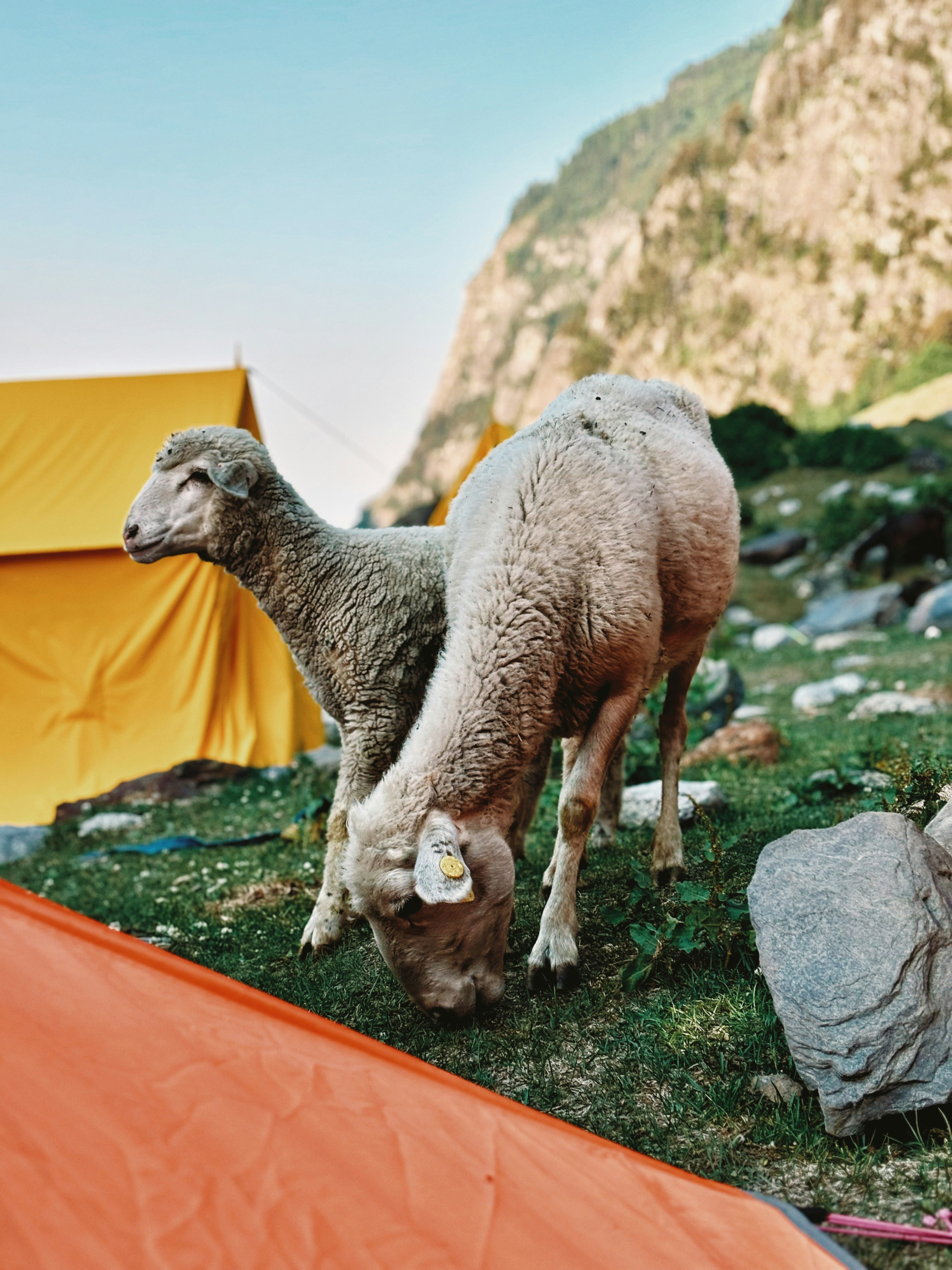 Photo by yaed with Apple iPhone 15