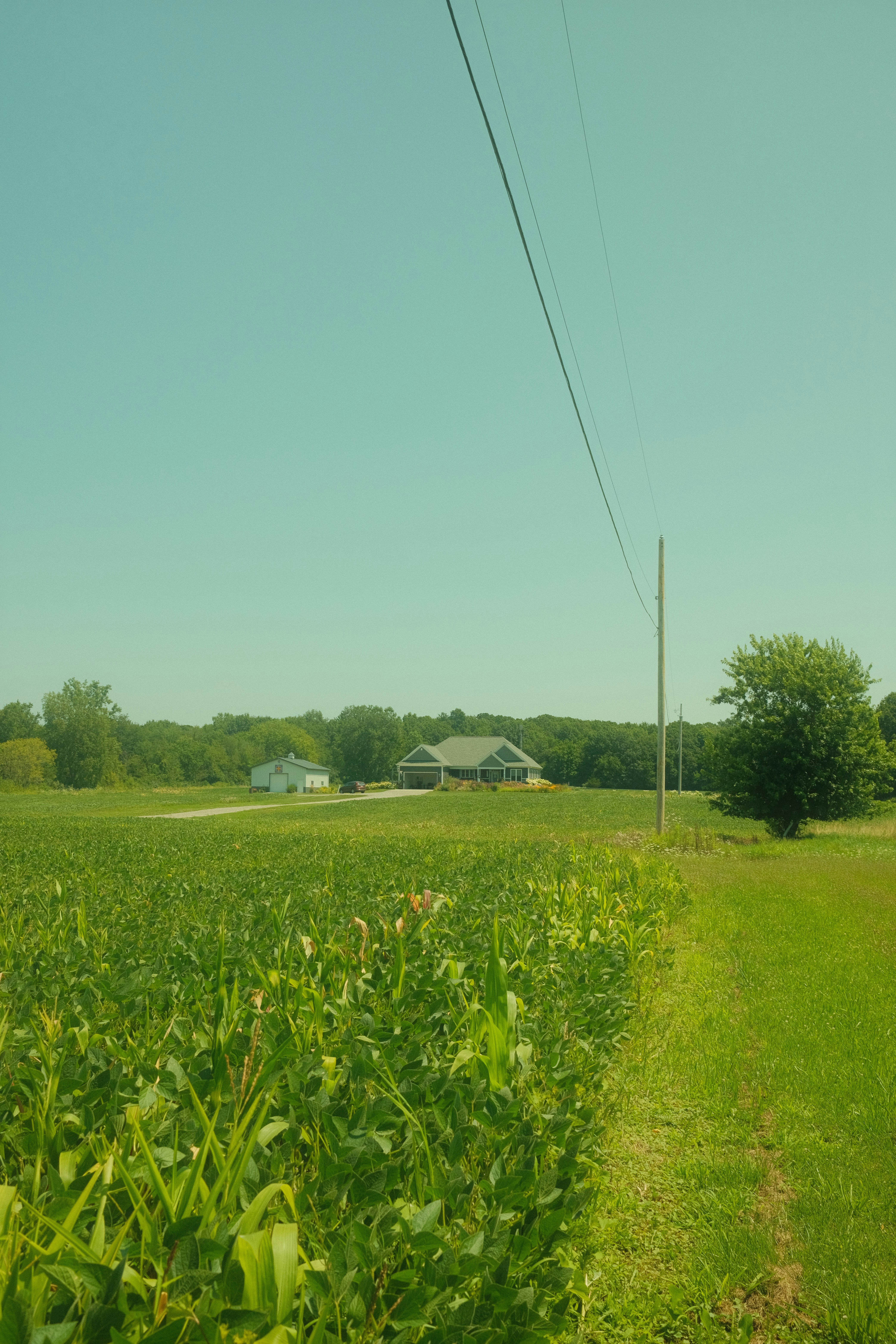 Wires Across the Horizon: A Quiet Farmstead on a Sunny Afternoon