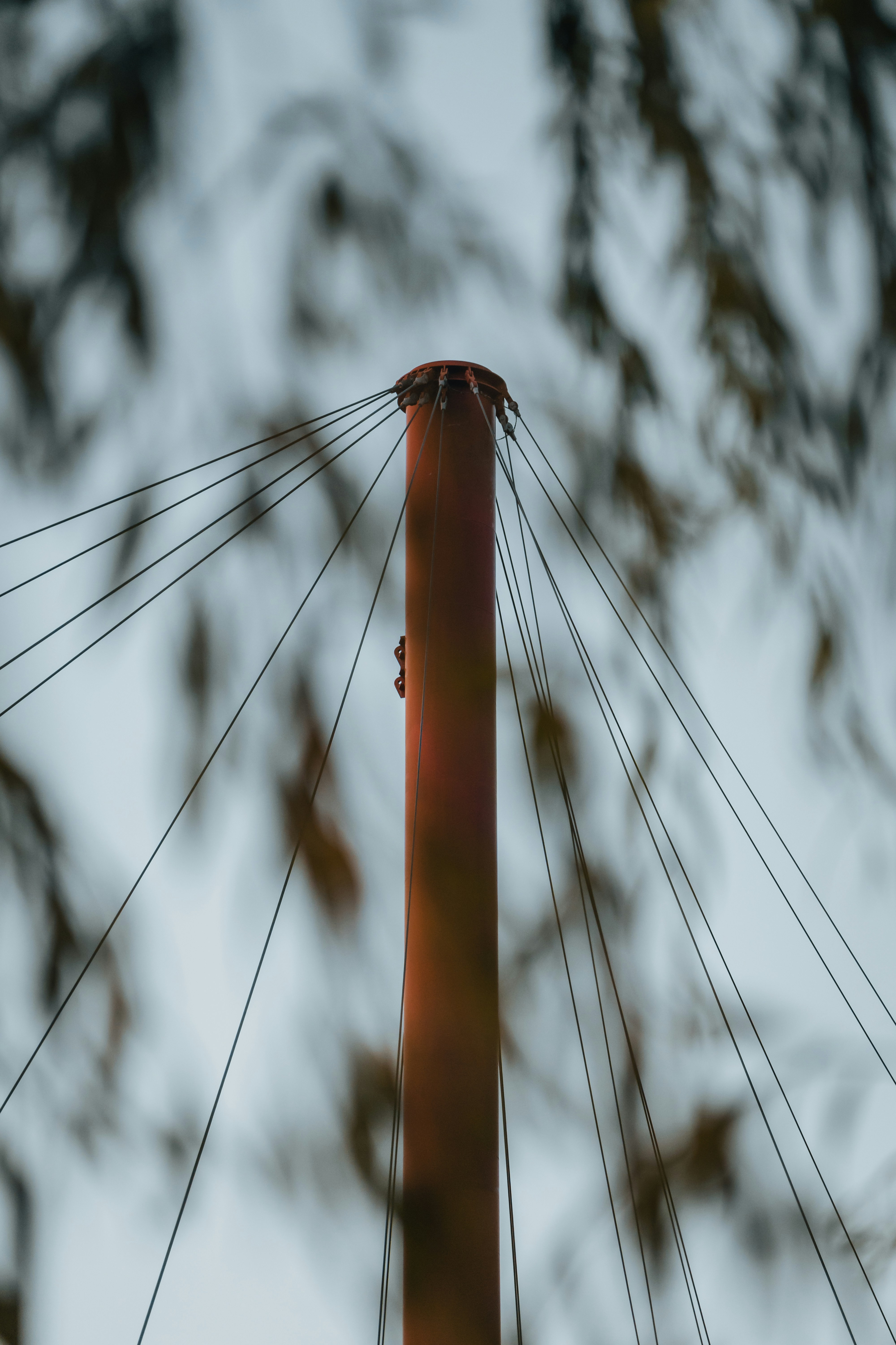 Crimson Mast Framed by a Web of Suspension Wires