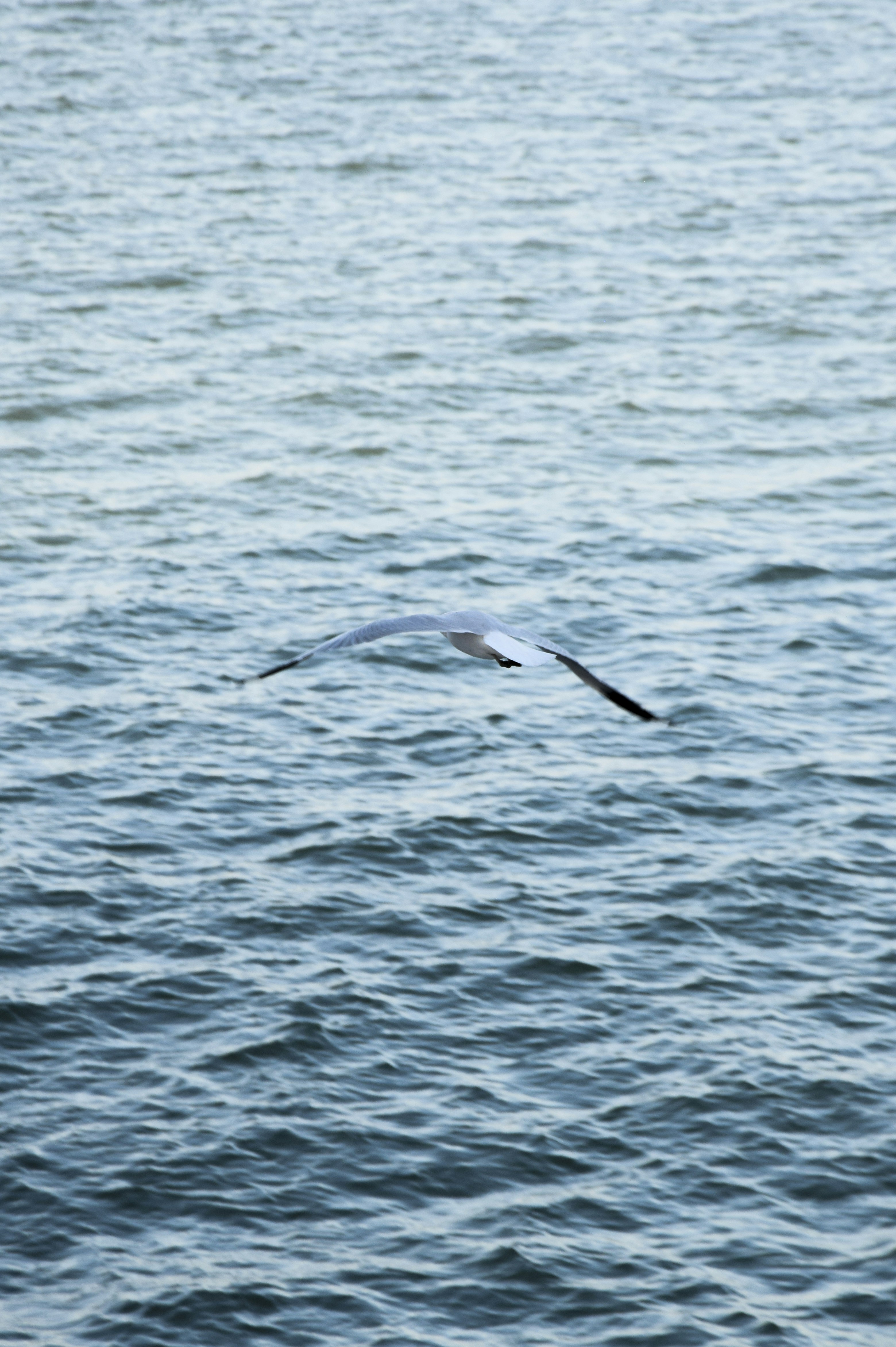 Looking for destination