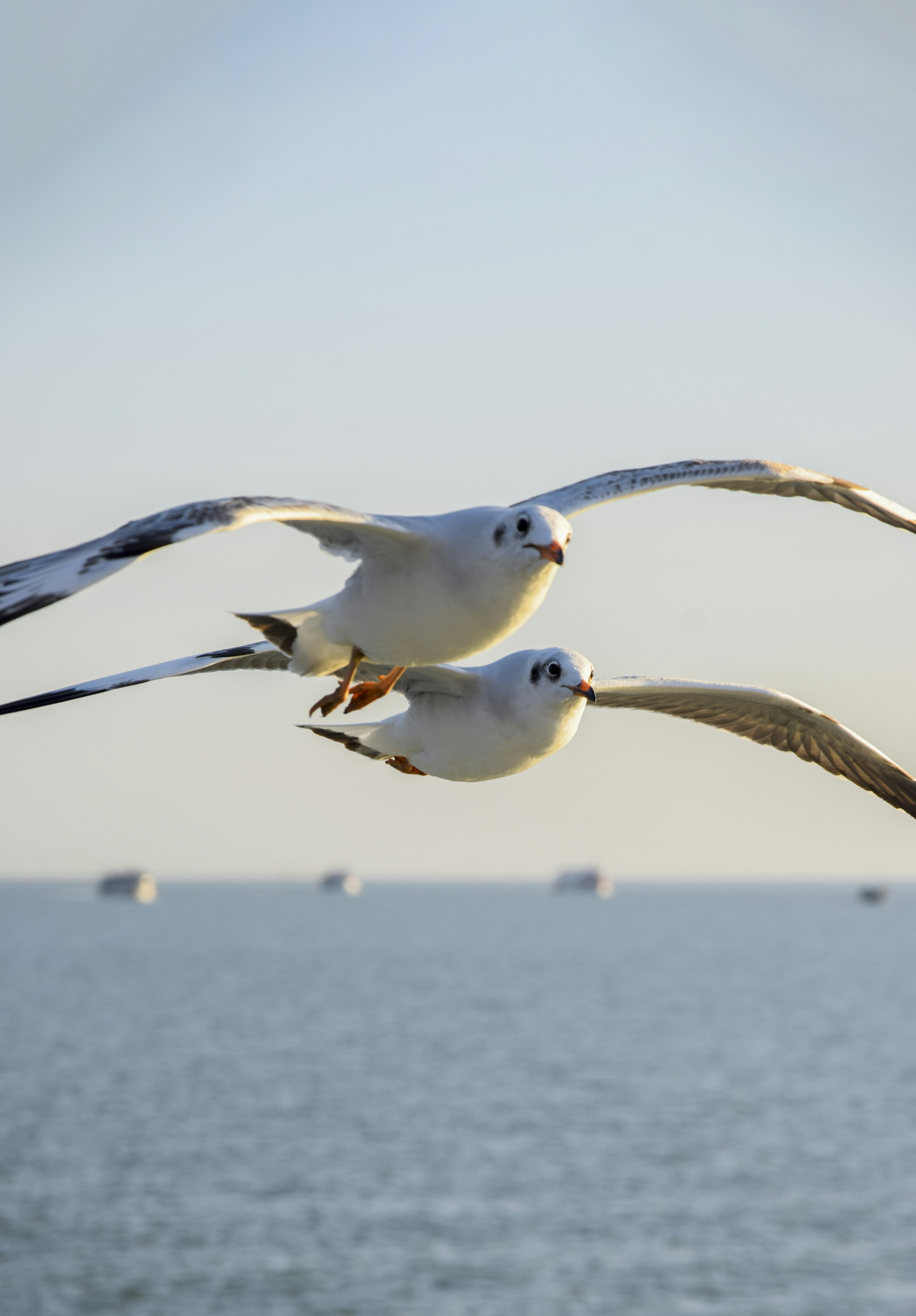 Anik Roy (@anik_roy) | Komunitas Foto Unsplash