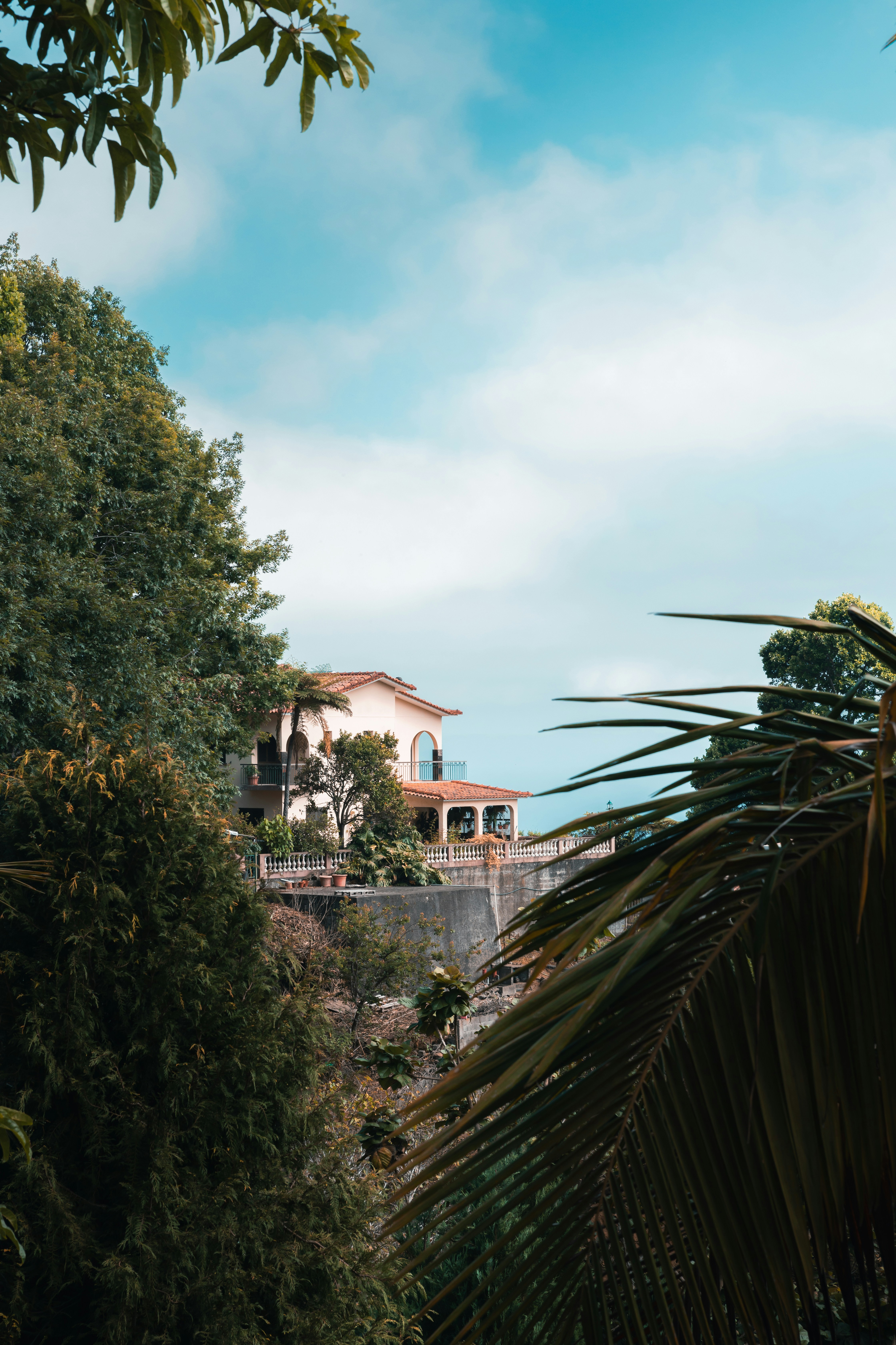 Photo by Ryan Klaus with Canon EOS R