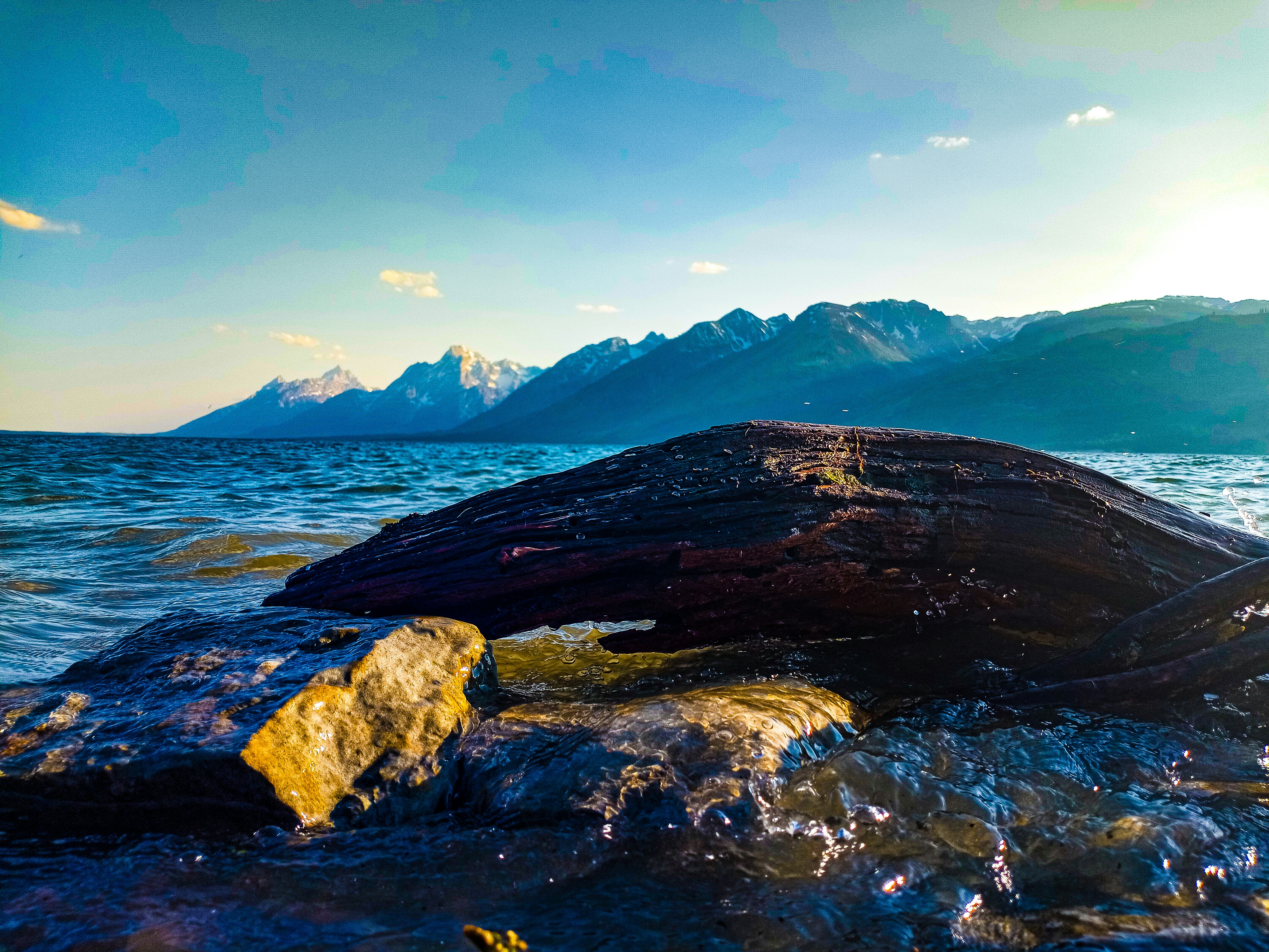 A humpback whale is on the rocks in the water
