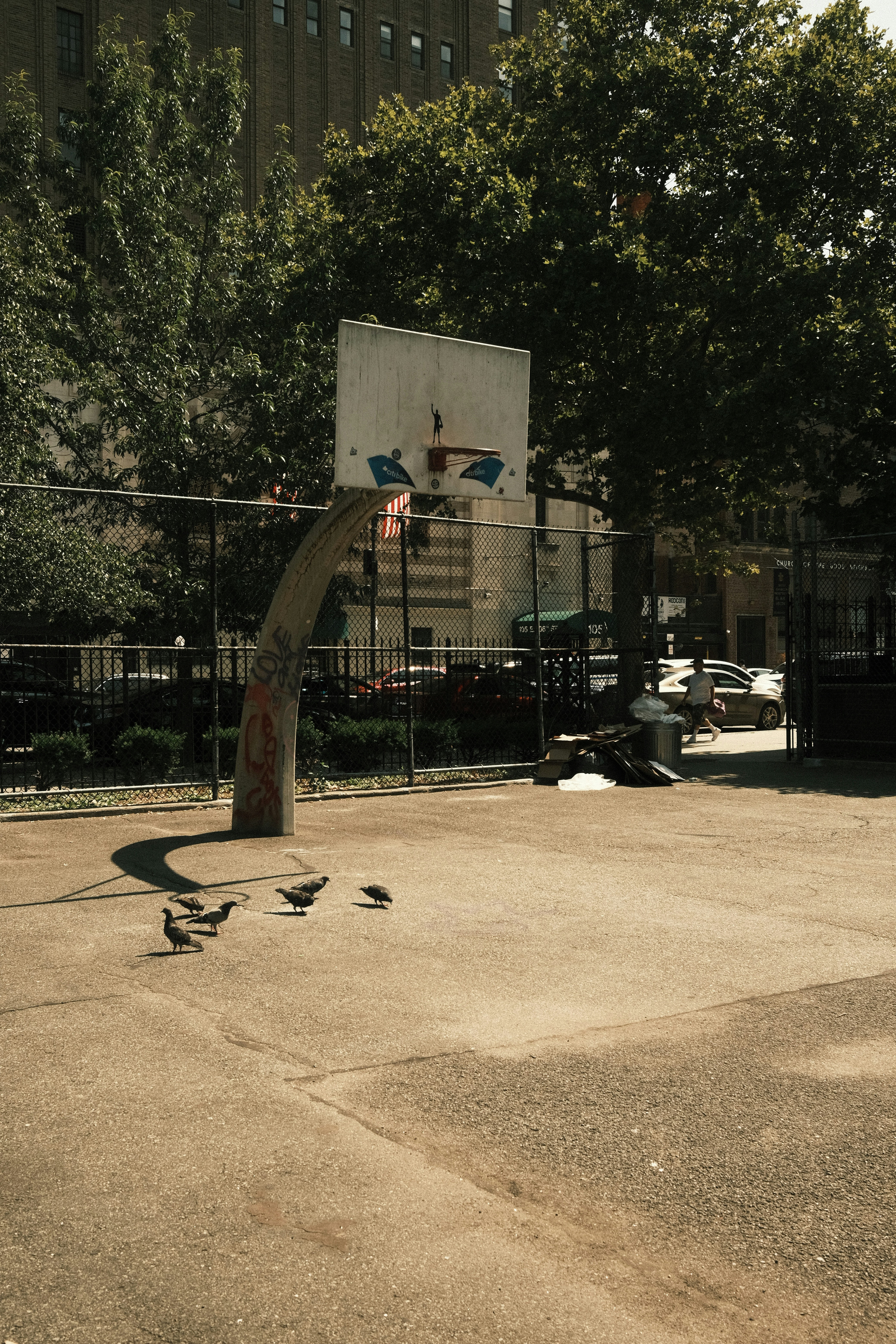 Urban Arc in the Park: Sunlit Court with a Curved Backboard