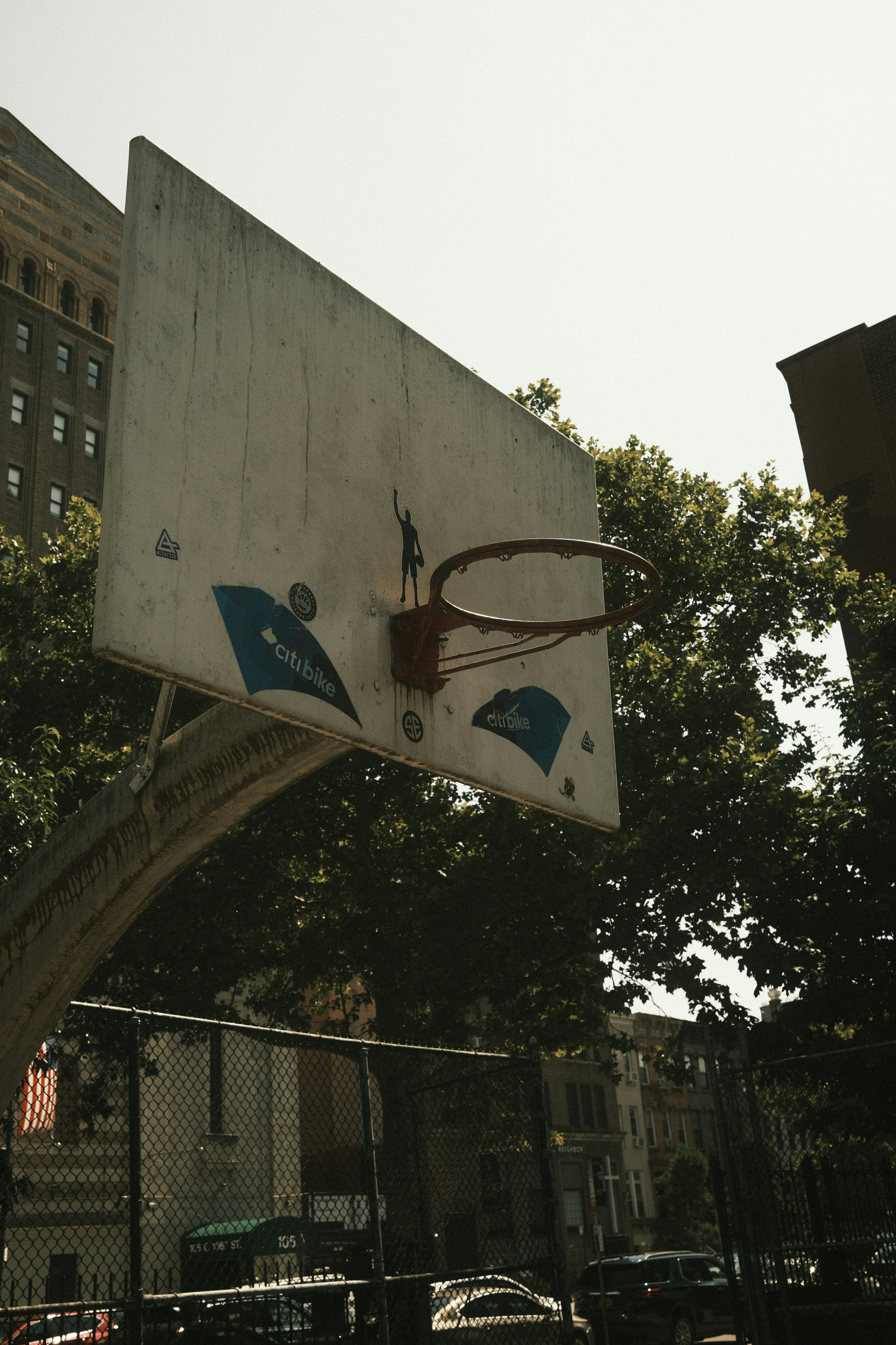 Cracked Backboard, Quiet City Hoop in Afternoon Light