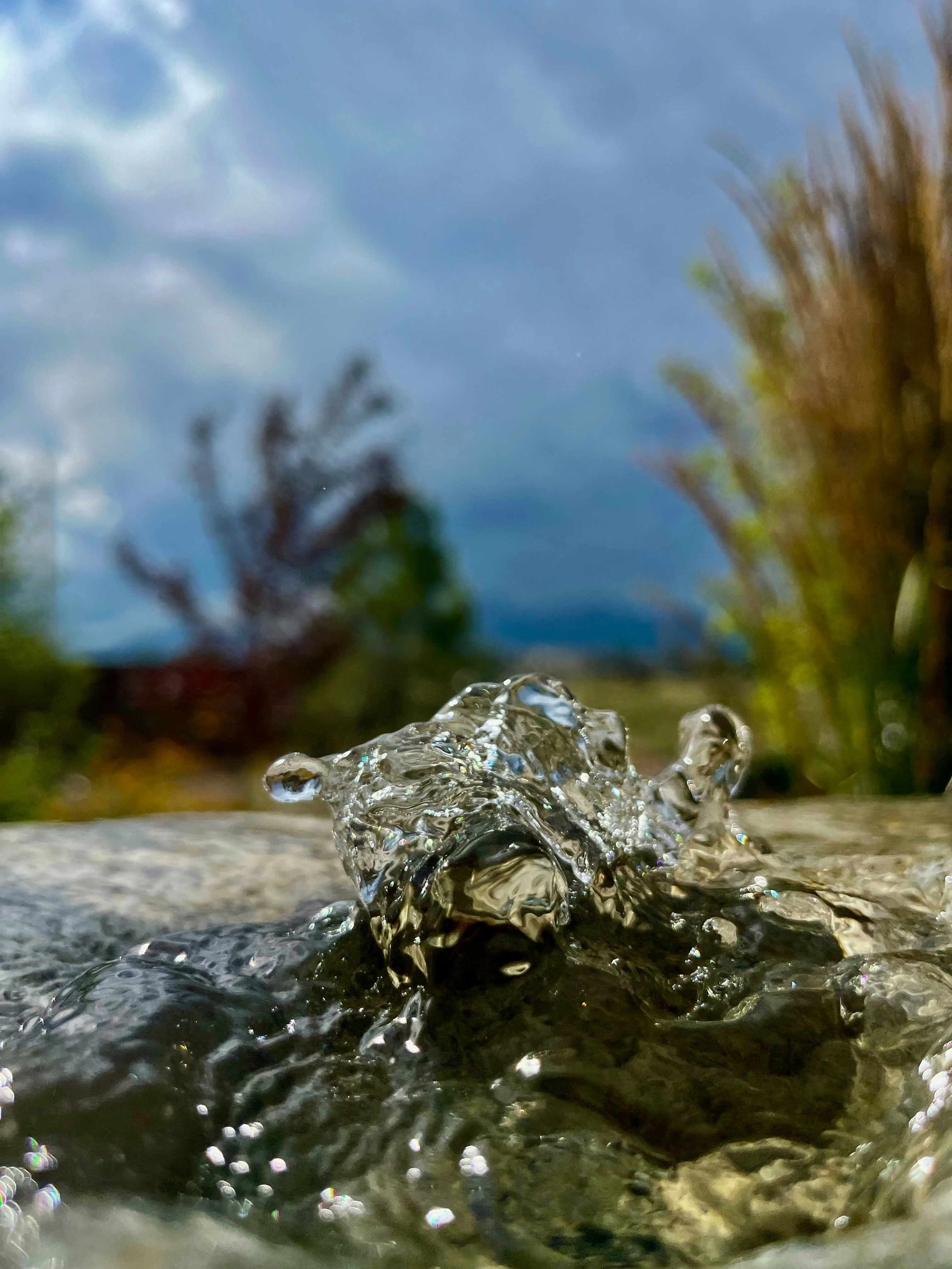 Liquid Crown: A Shattered Droplet Frozen at the Water’s Edge