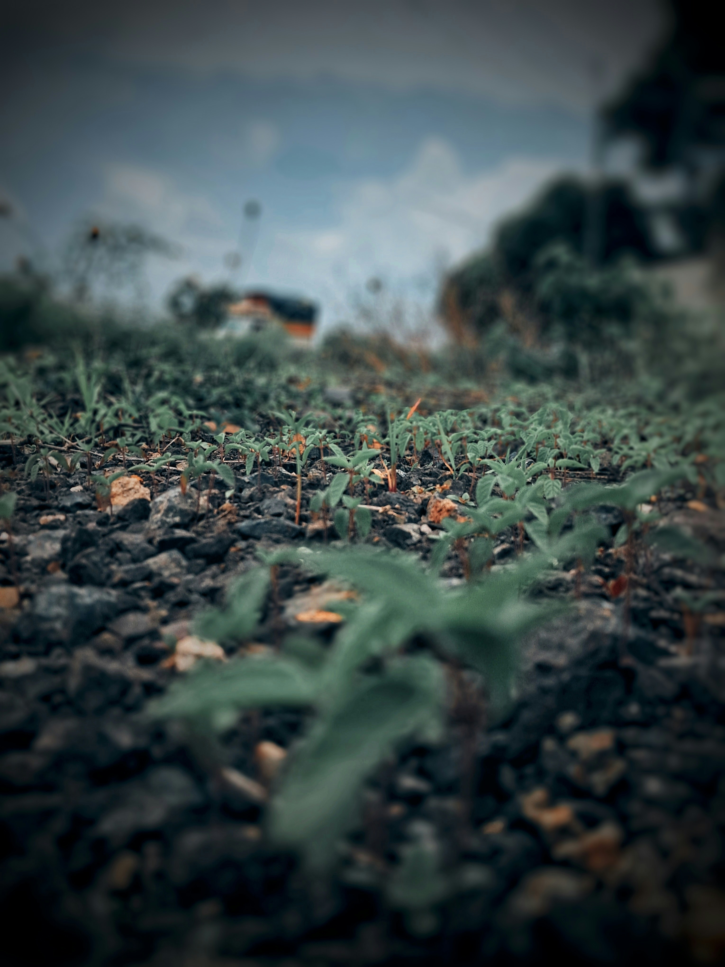 Sample photo from Samsung Galaxy M33