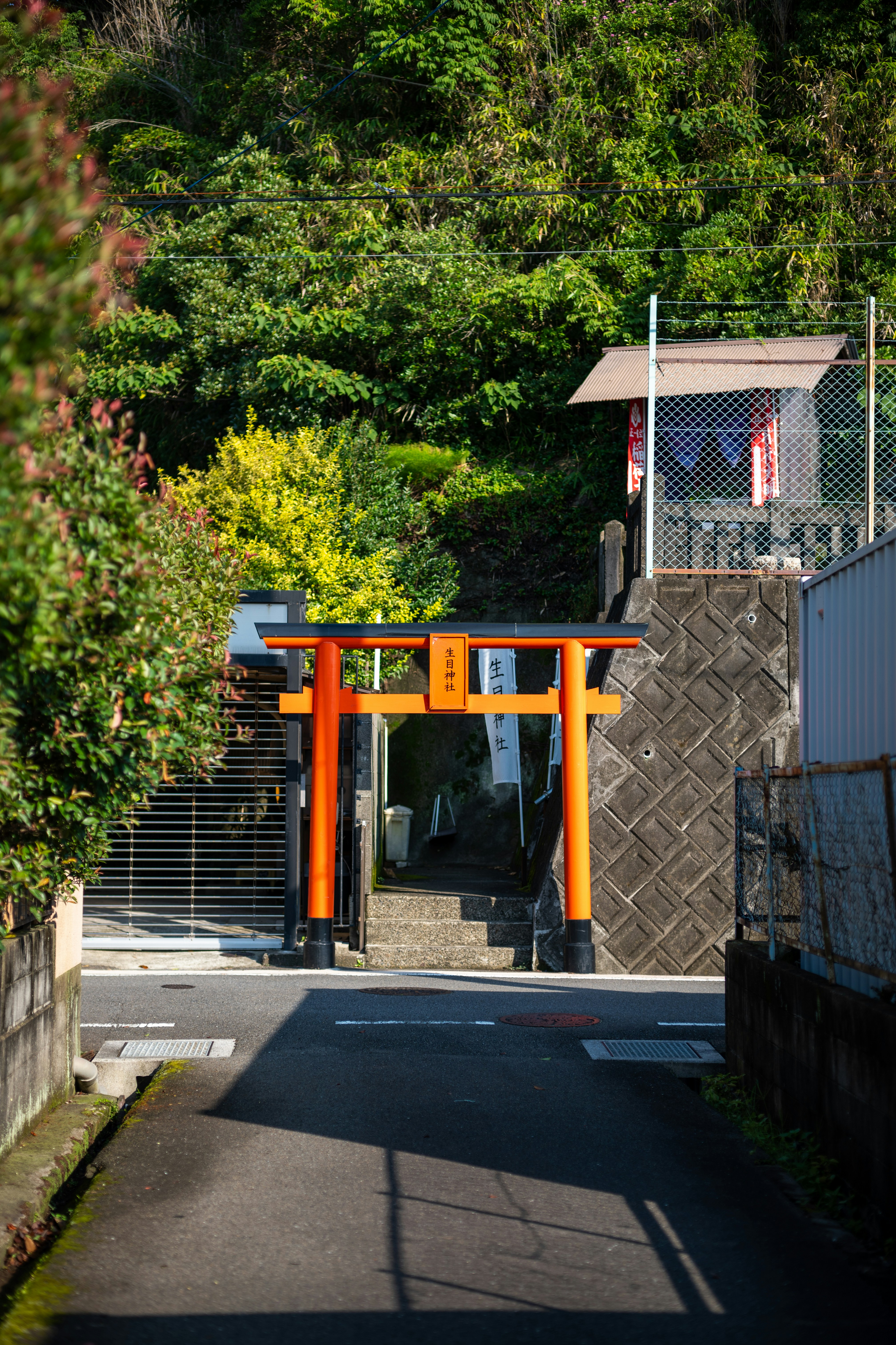 Orange Torii Gate Framing a Sunlit Alley to a Hidden Shrine