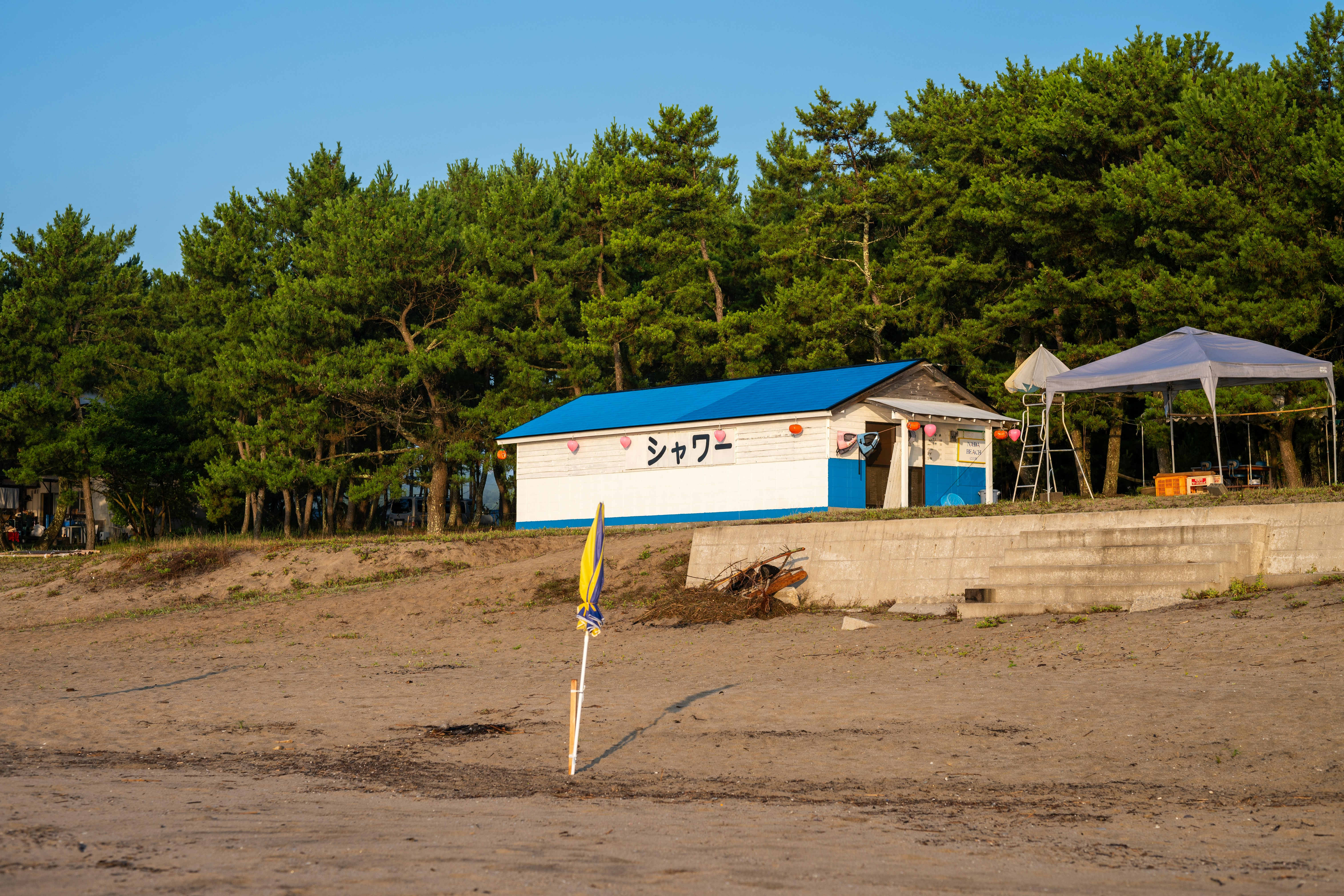 Photo by Kouji Tsuru with Nikon Z6 III