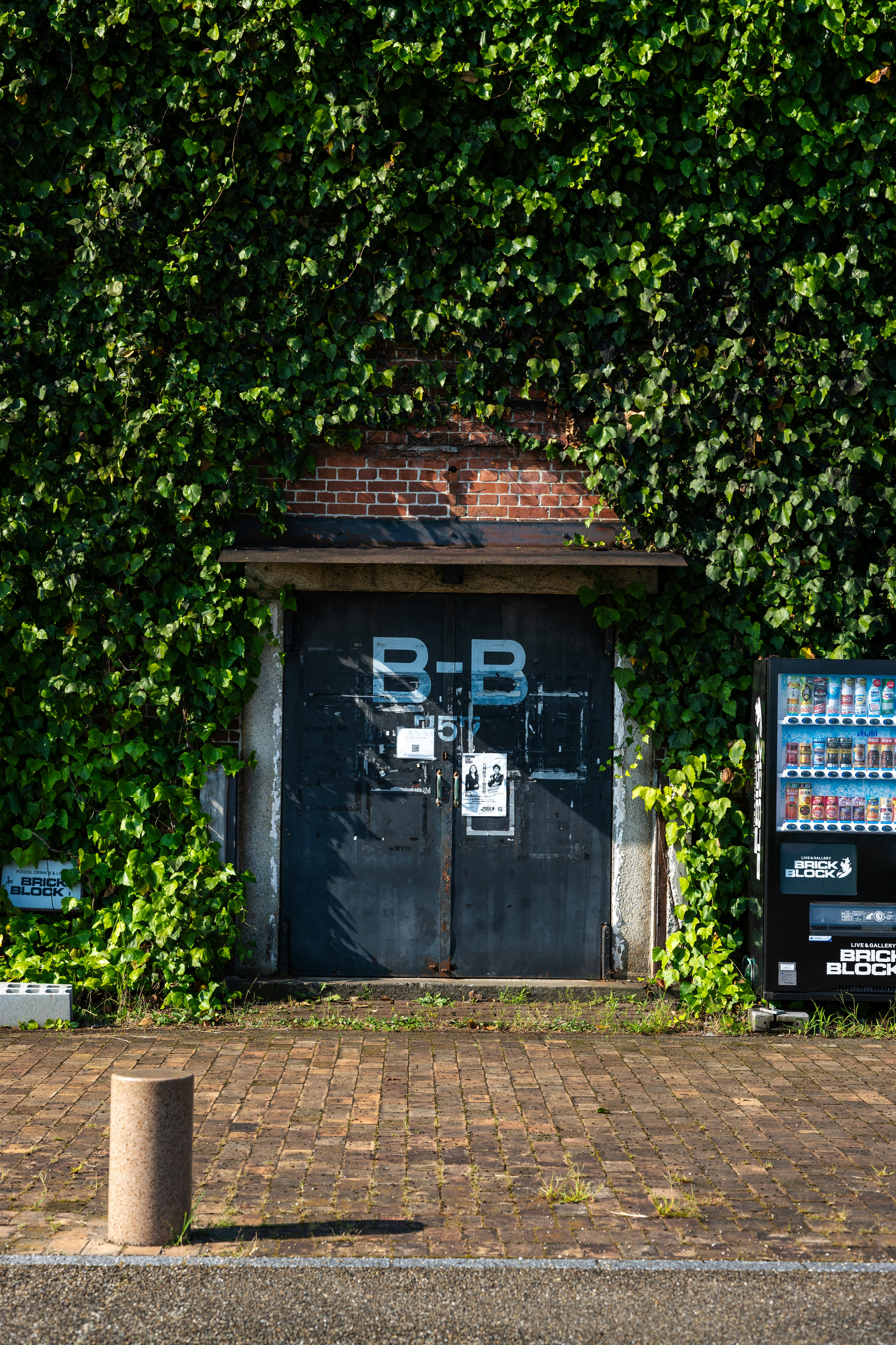 Ivy Gate Behind Brickwork: A Hidden Door Framed by Leaves