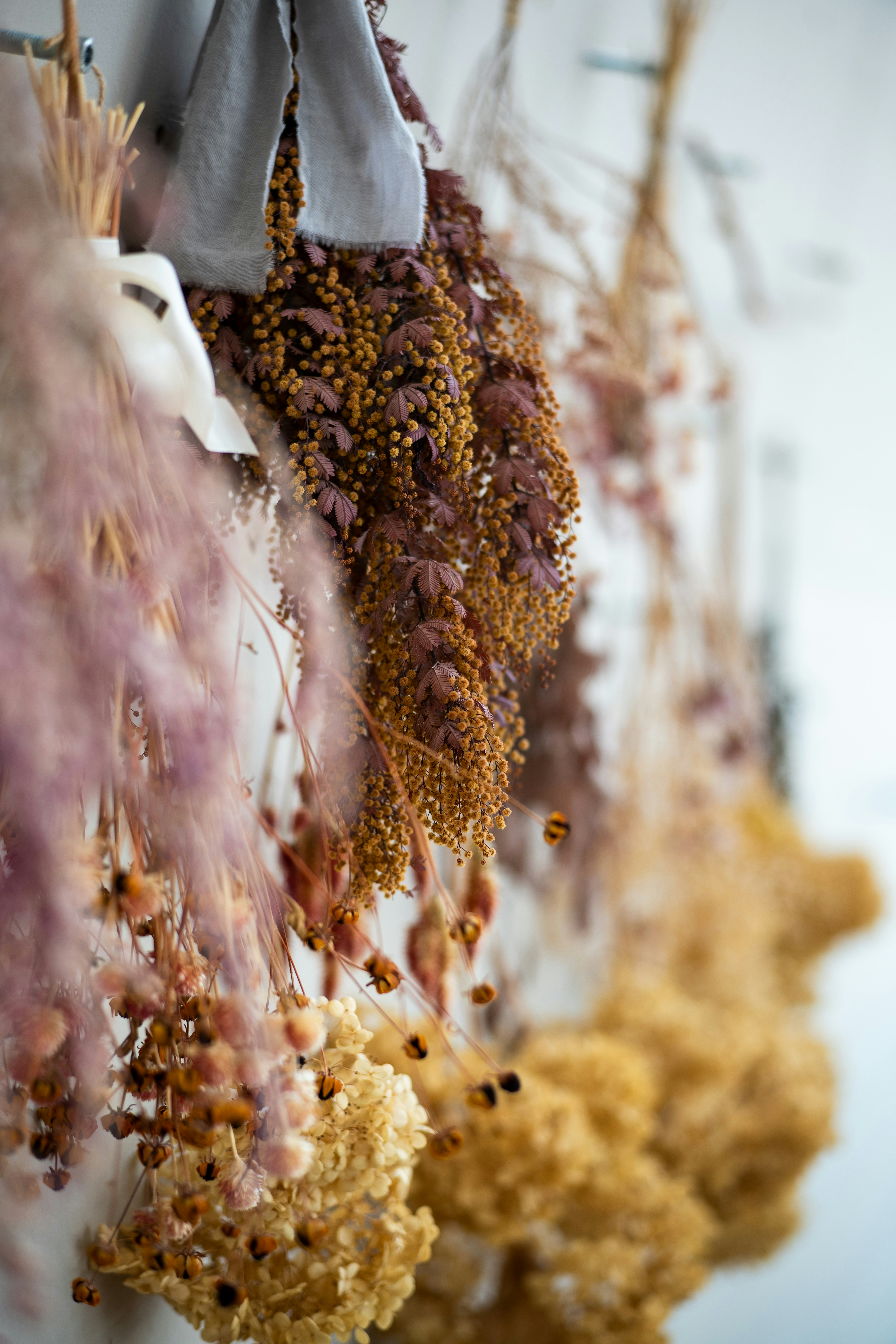 Hanging Harvest: Delicate Dried Bouquets in a Quiet Gallery Corridor