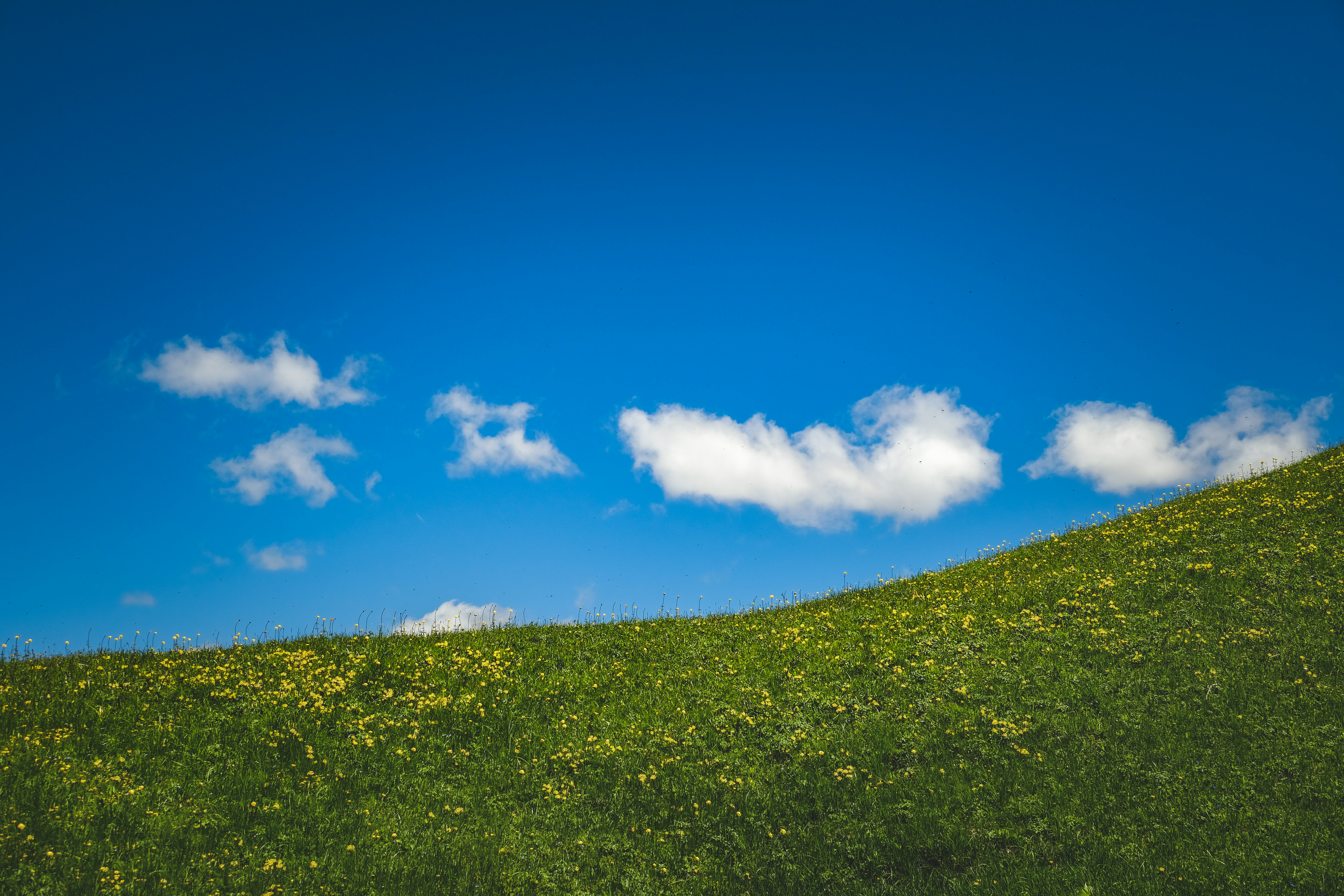 Windows Background Hill
