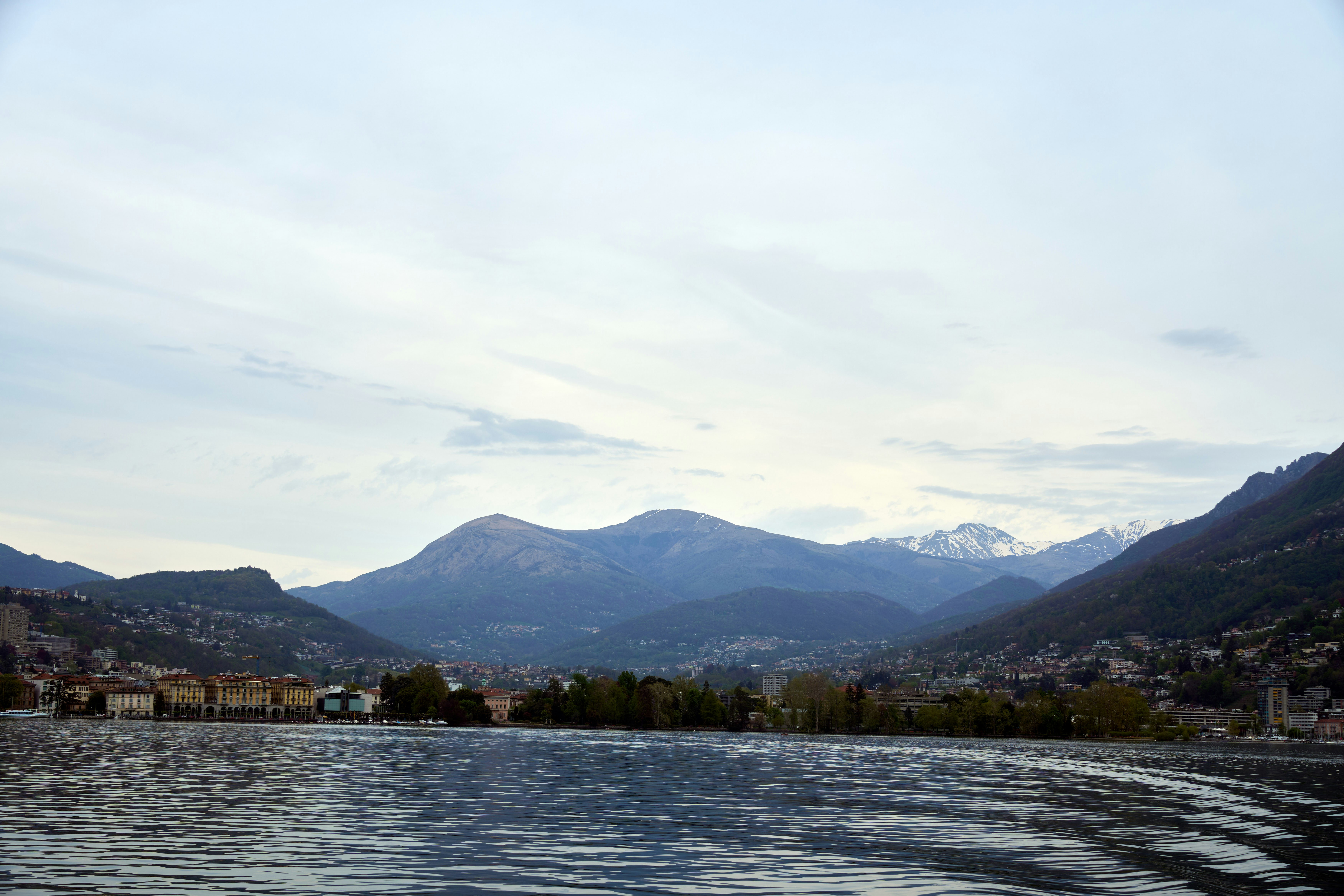 Photo by Wolfgang Hasselmann with Sony Alpha 7 IV