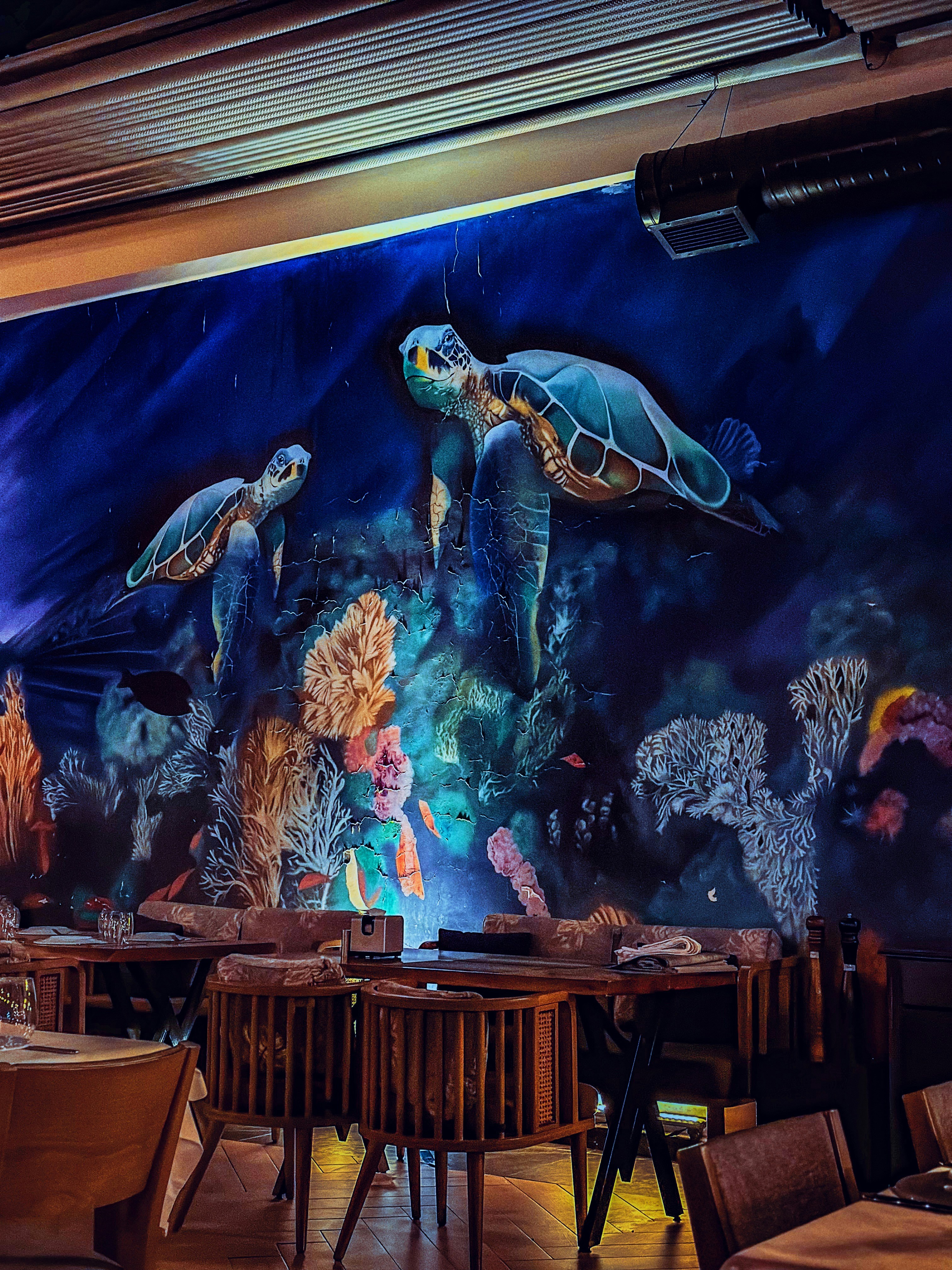 Tides on a Wall: Sea Turtles Glide Over a Coral Reef in a Restaurant Mural