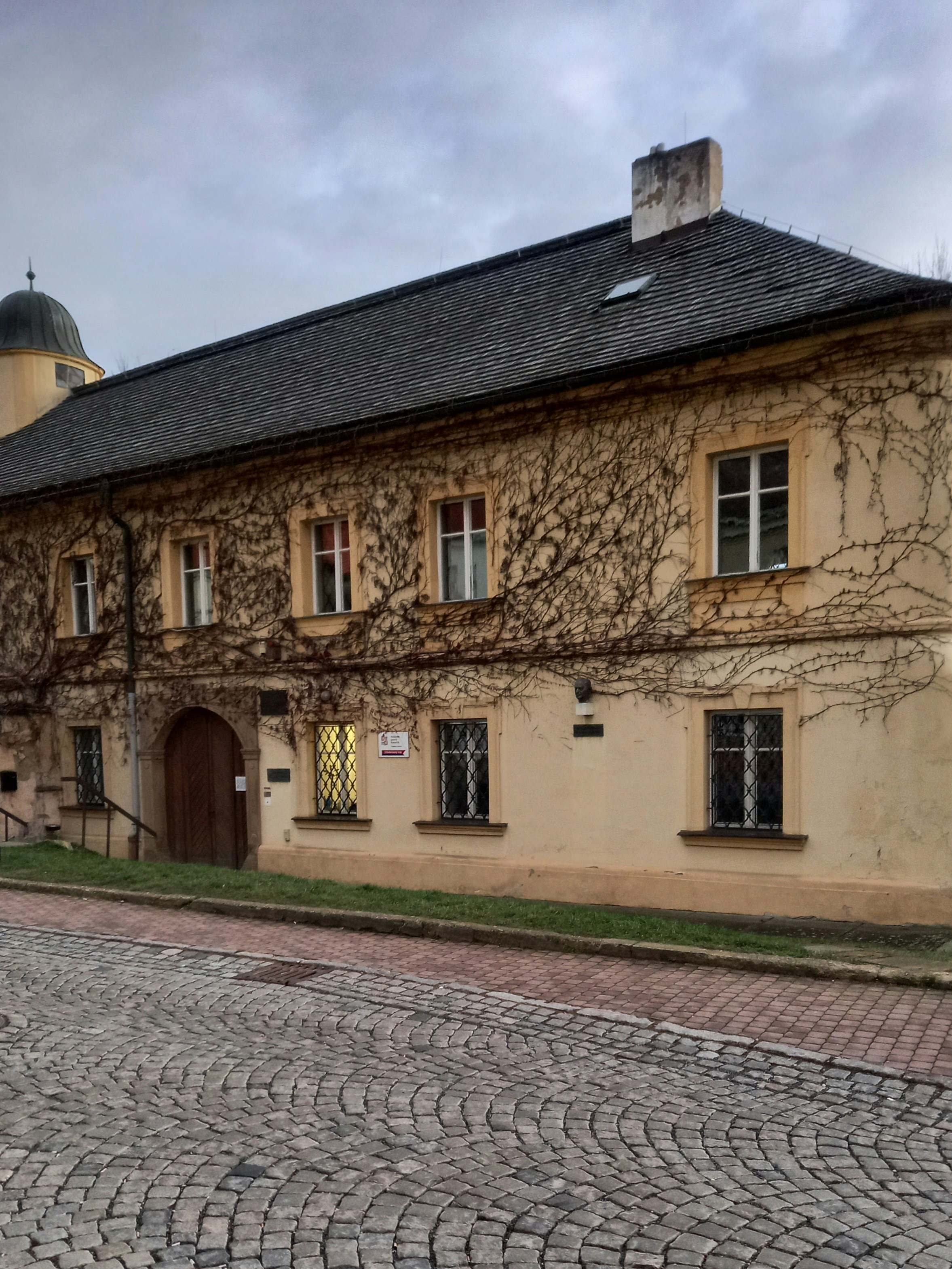 Photo by Tetiana Papilota with Samsung Galaxy A31