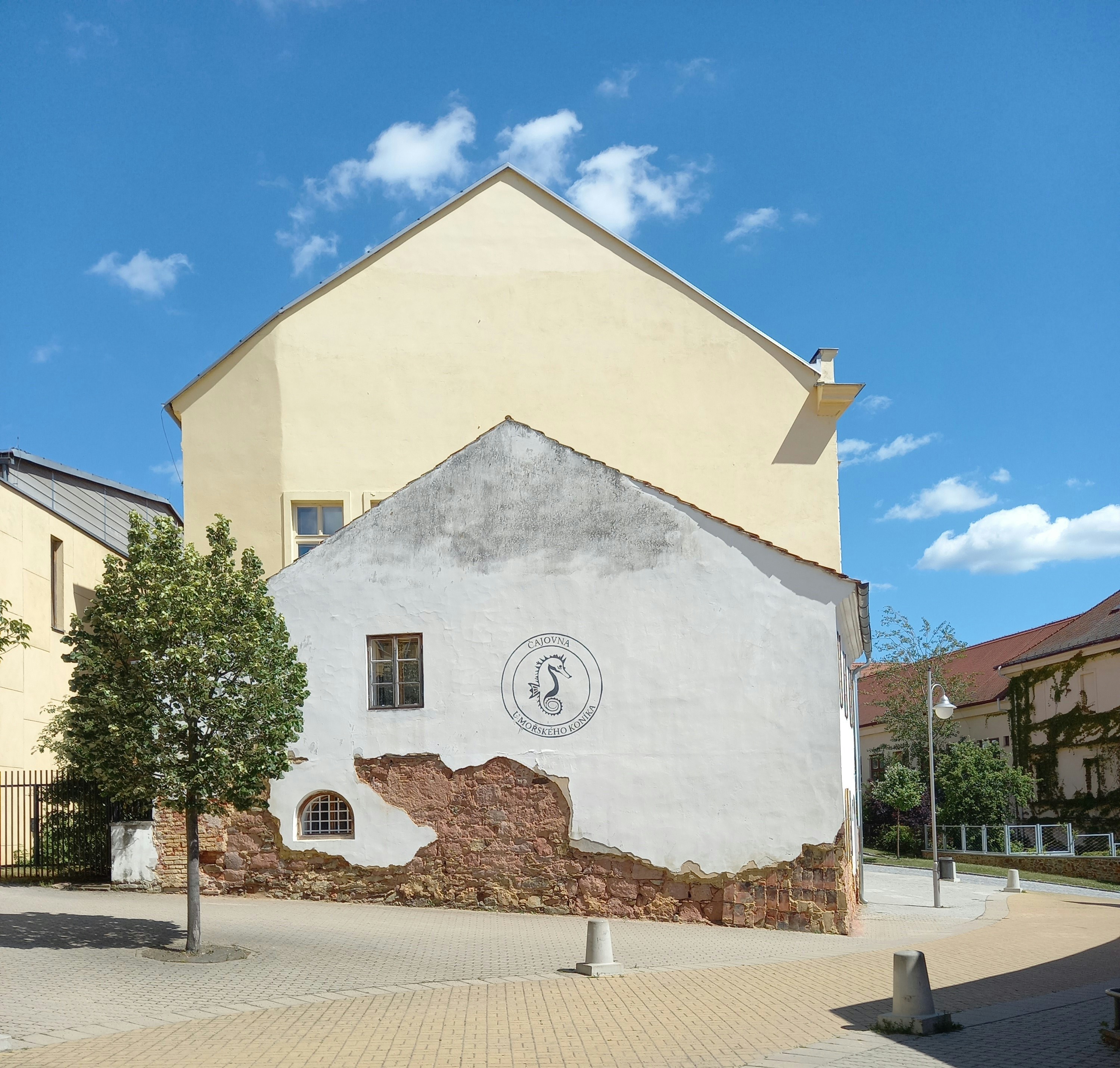 Photo by Tetiana Papilota with Samsung Galaxy A31