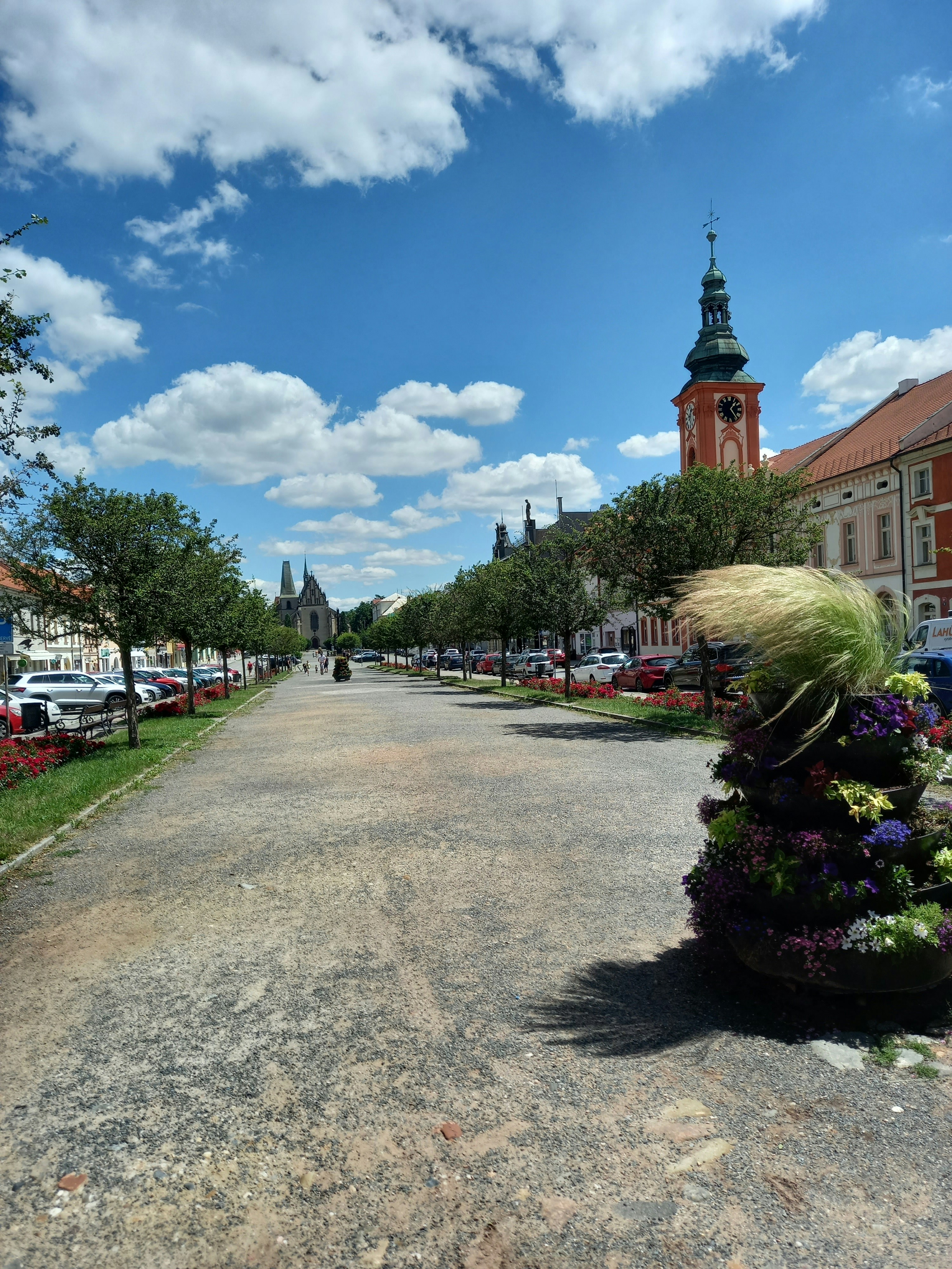 Photo by Tetiana Papilota with Samsung Galaxy A31