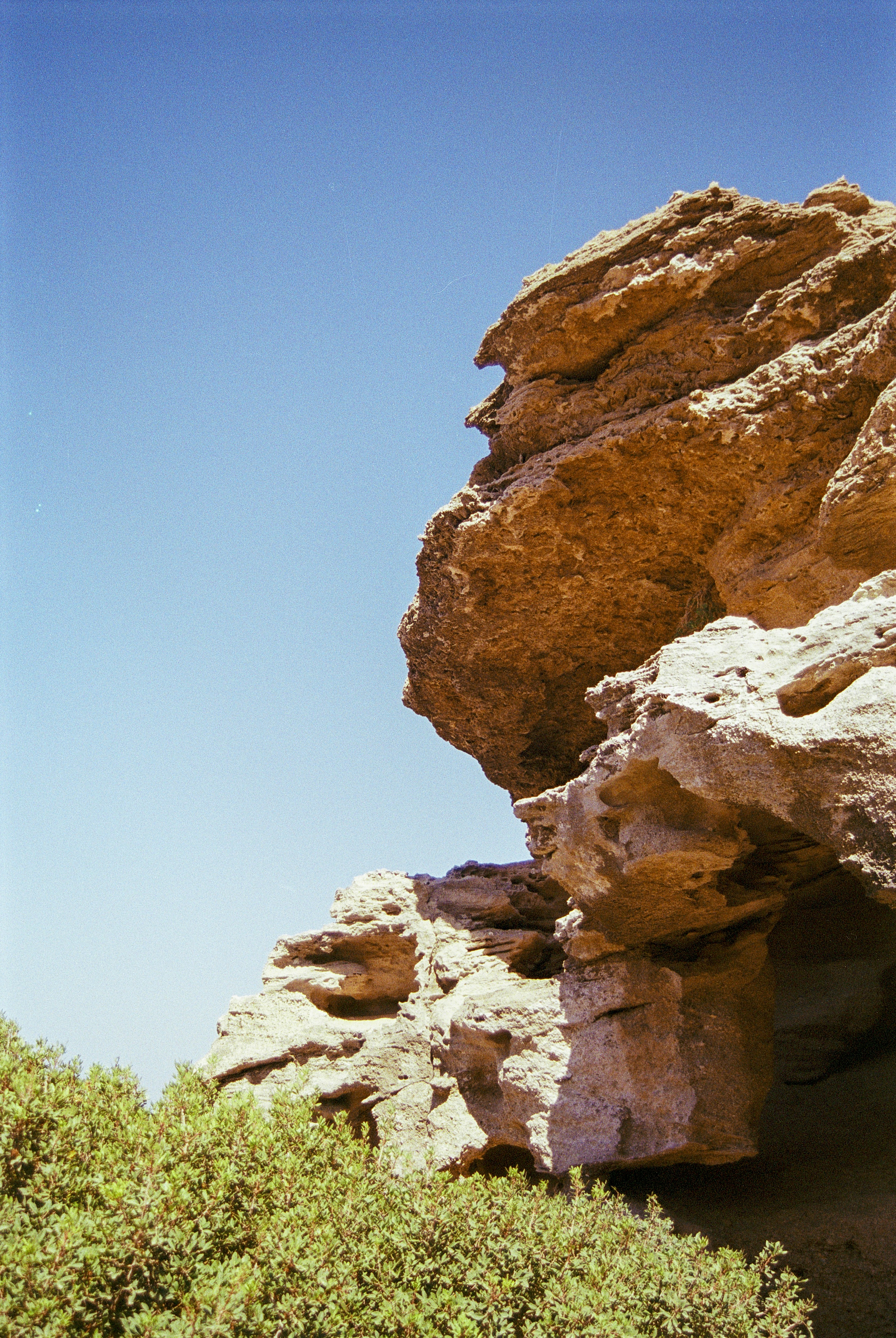 Nikon F90X Kodak gold 200