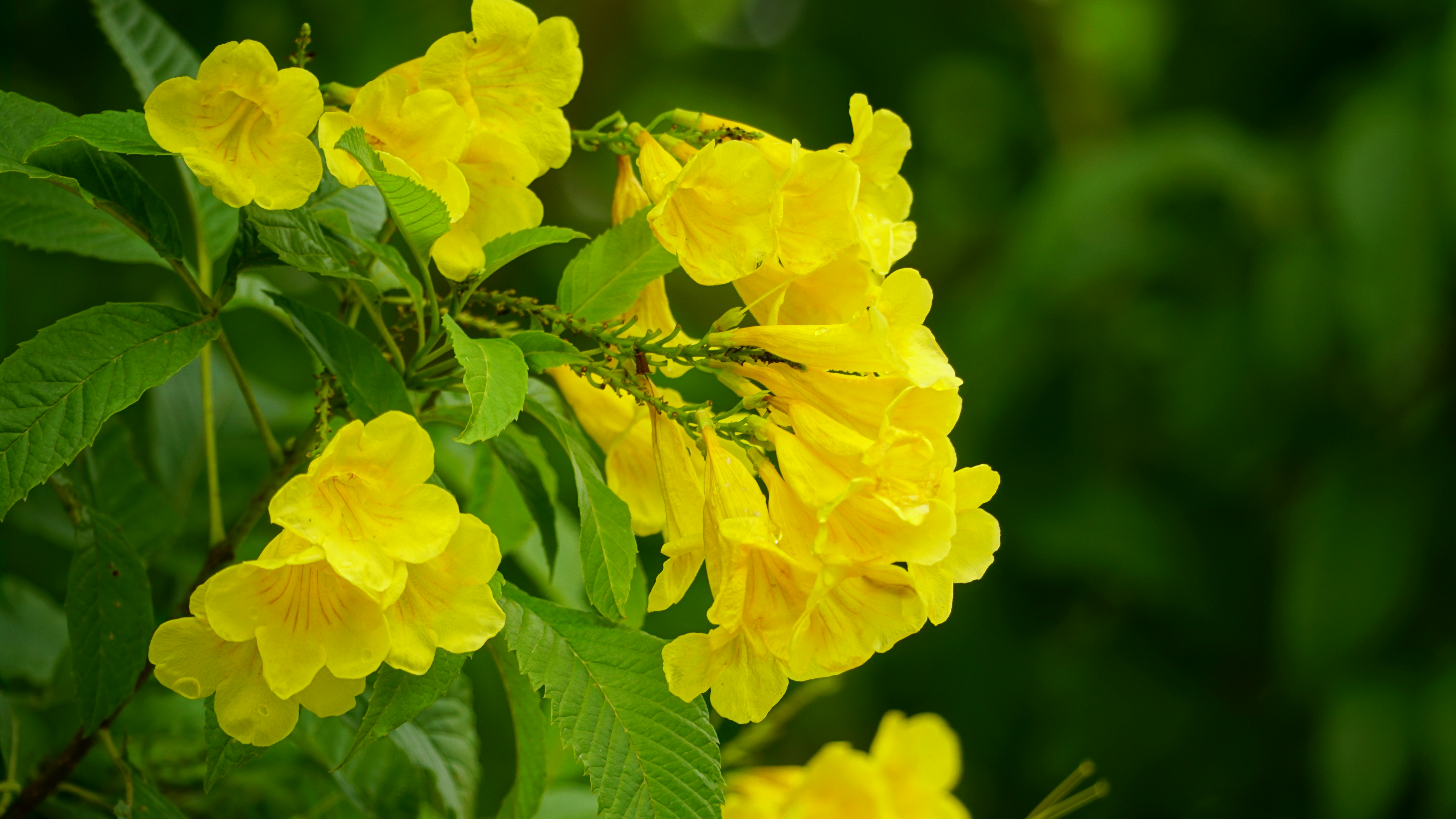 Photo by Duy Le Duc with Sony Alpha 6000