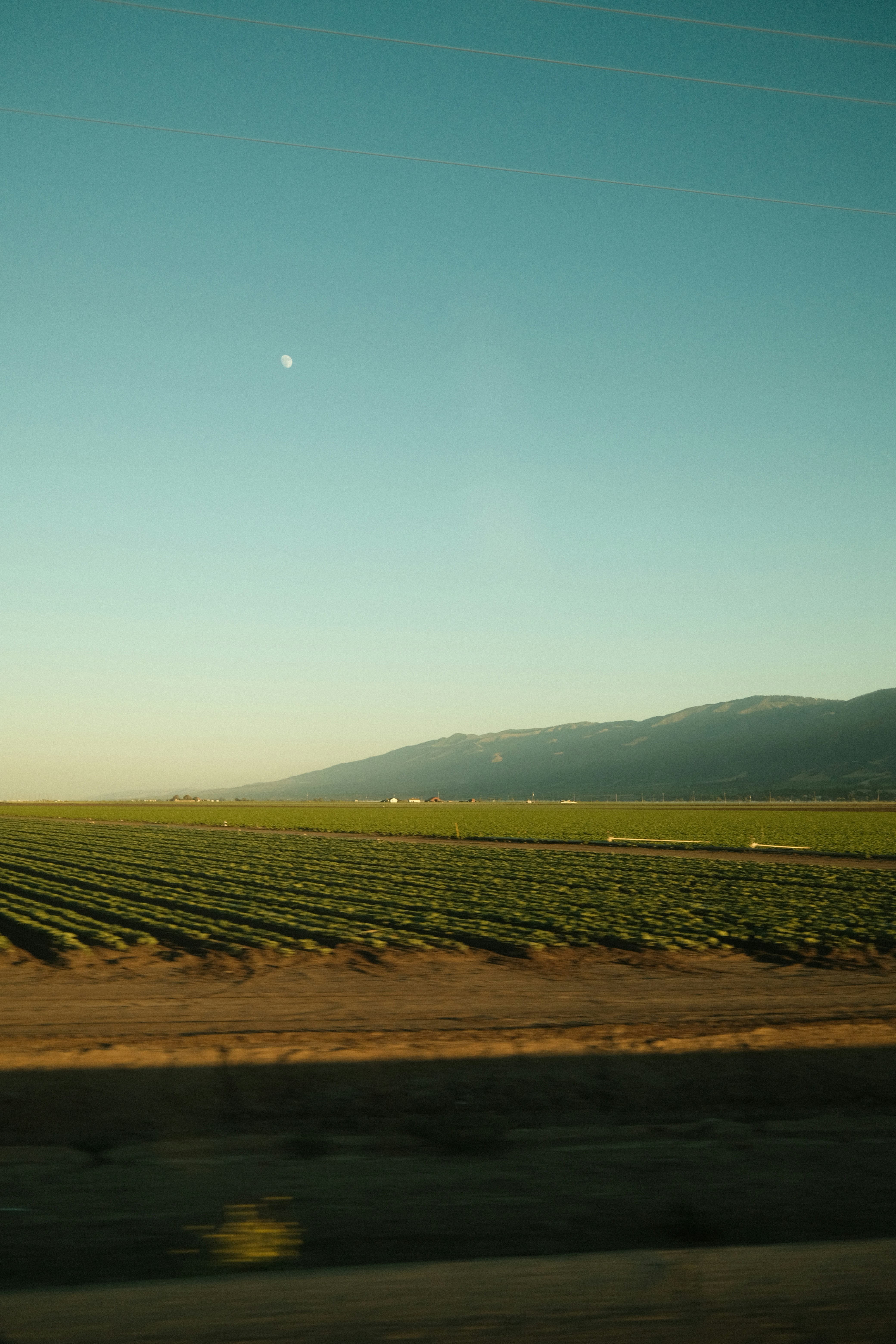 Serenity Over the Fields