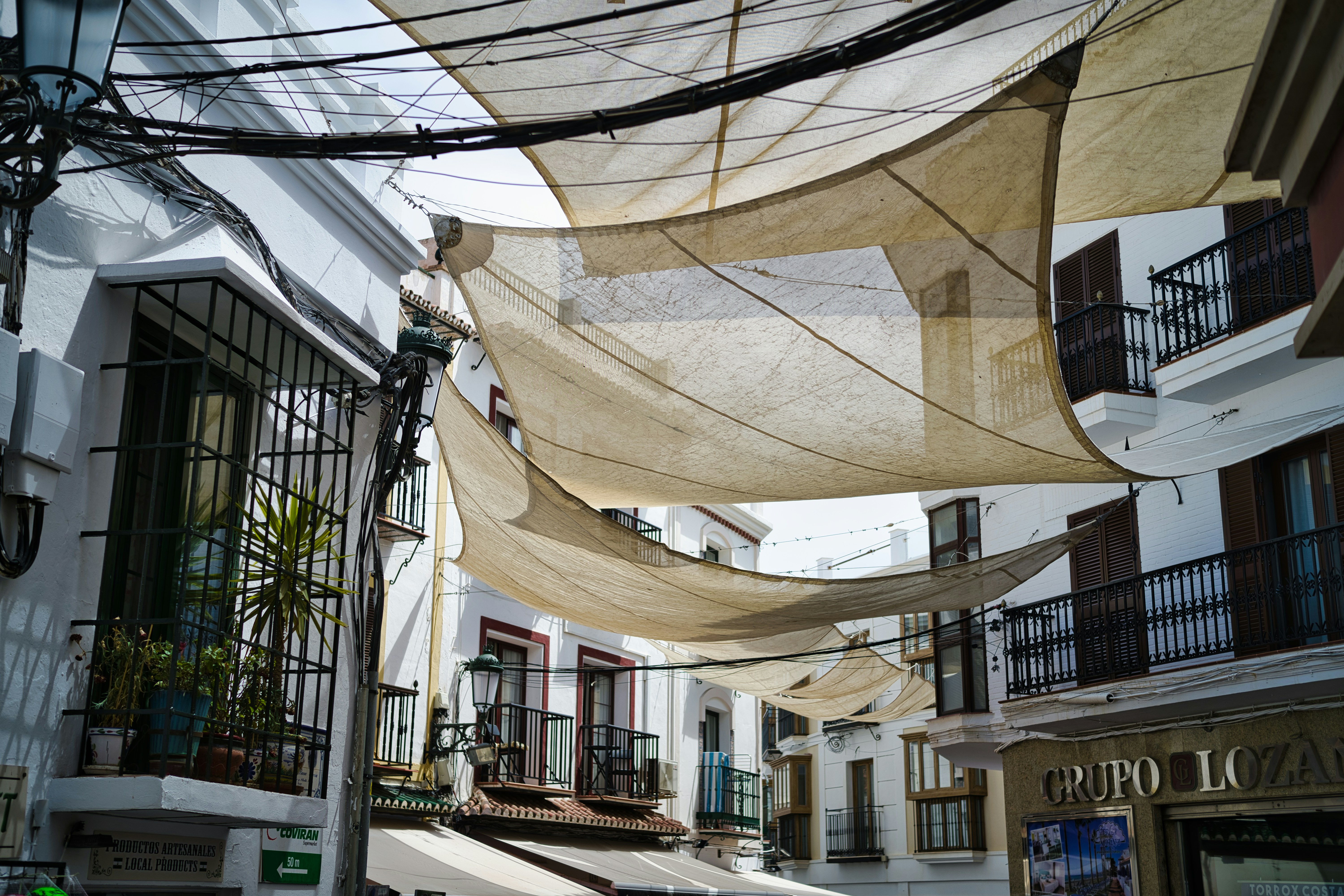 Sunlit Canopies Over Narrow Alleyway