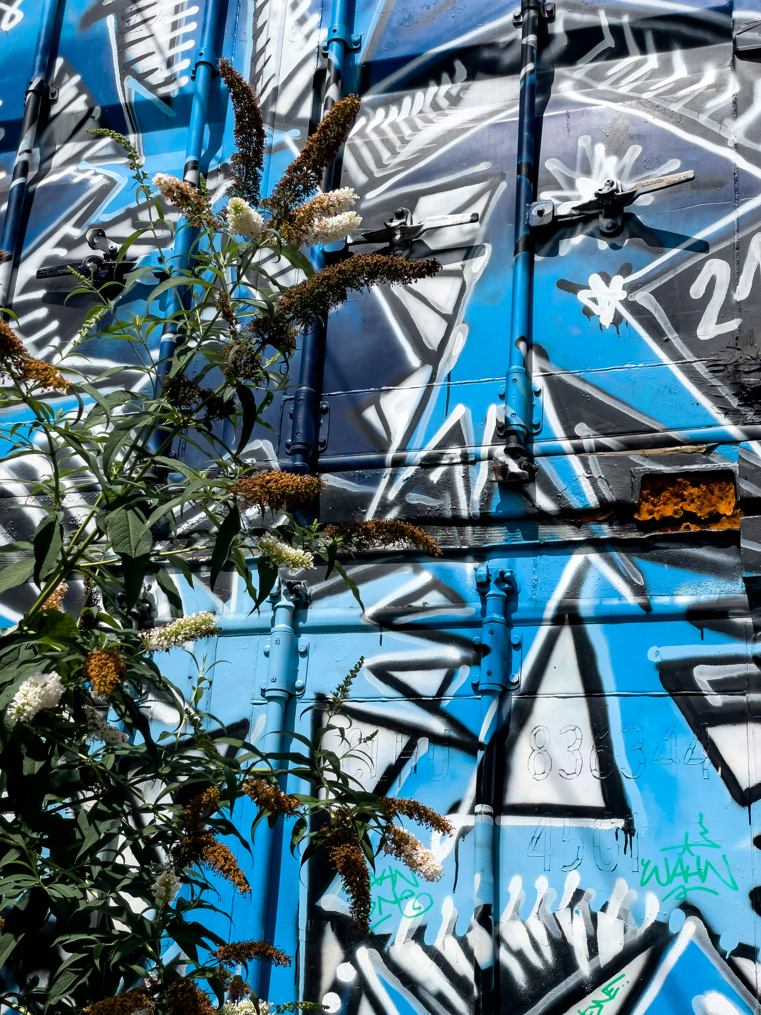 A blue wall with a bunch of graffiti on it photo – Free Art Image on ...