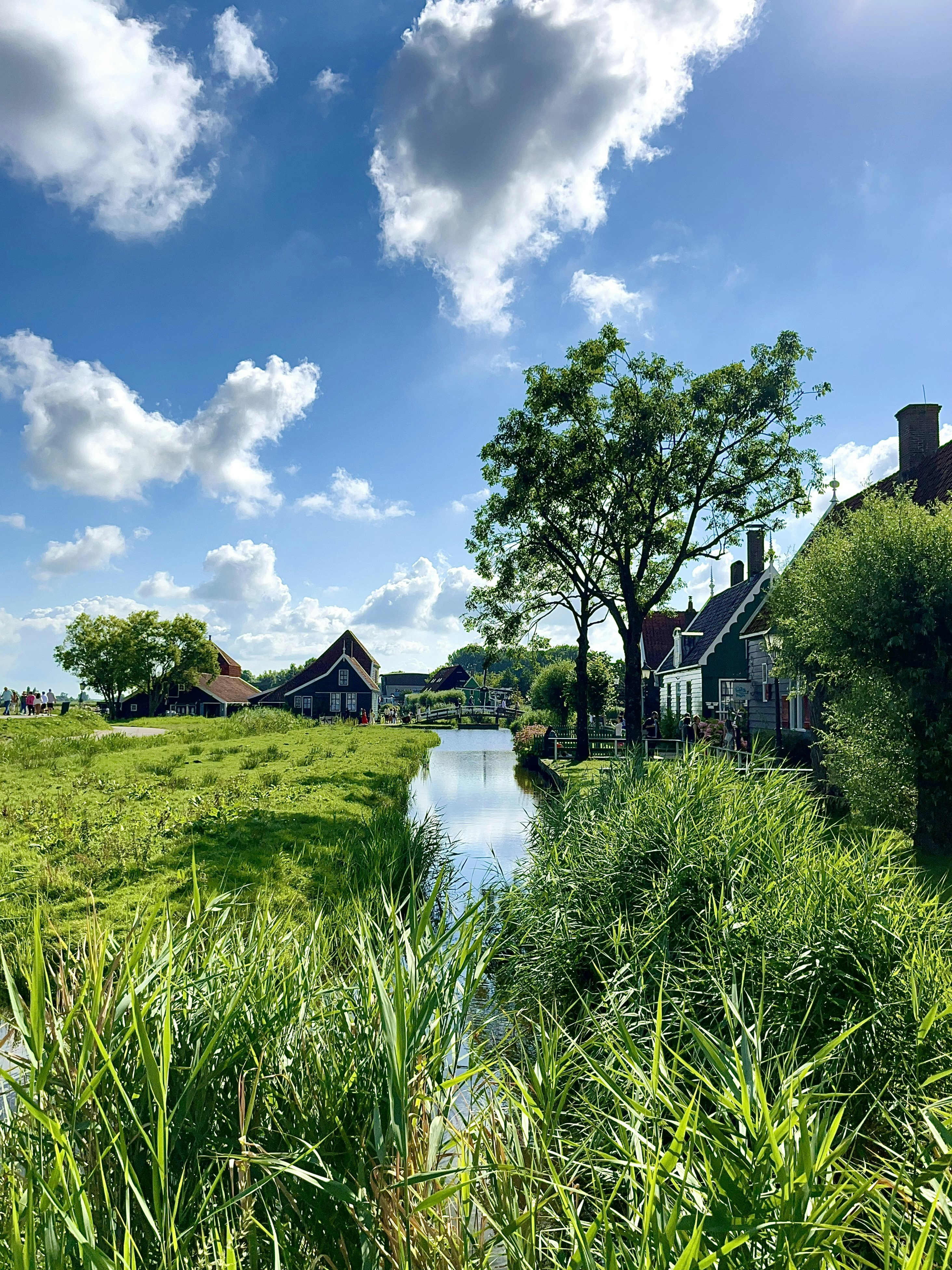 Verdant Canal in Sunlight: Reeds, Gables, and a Quiet Towpath