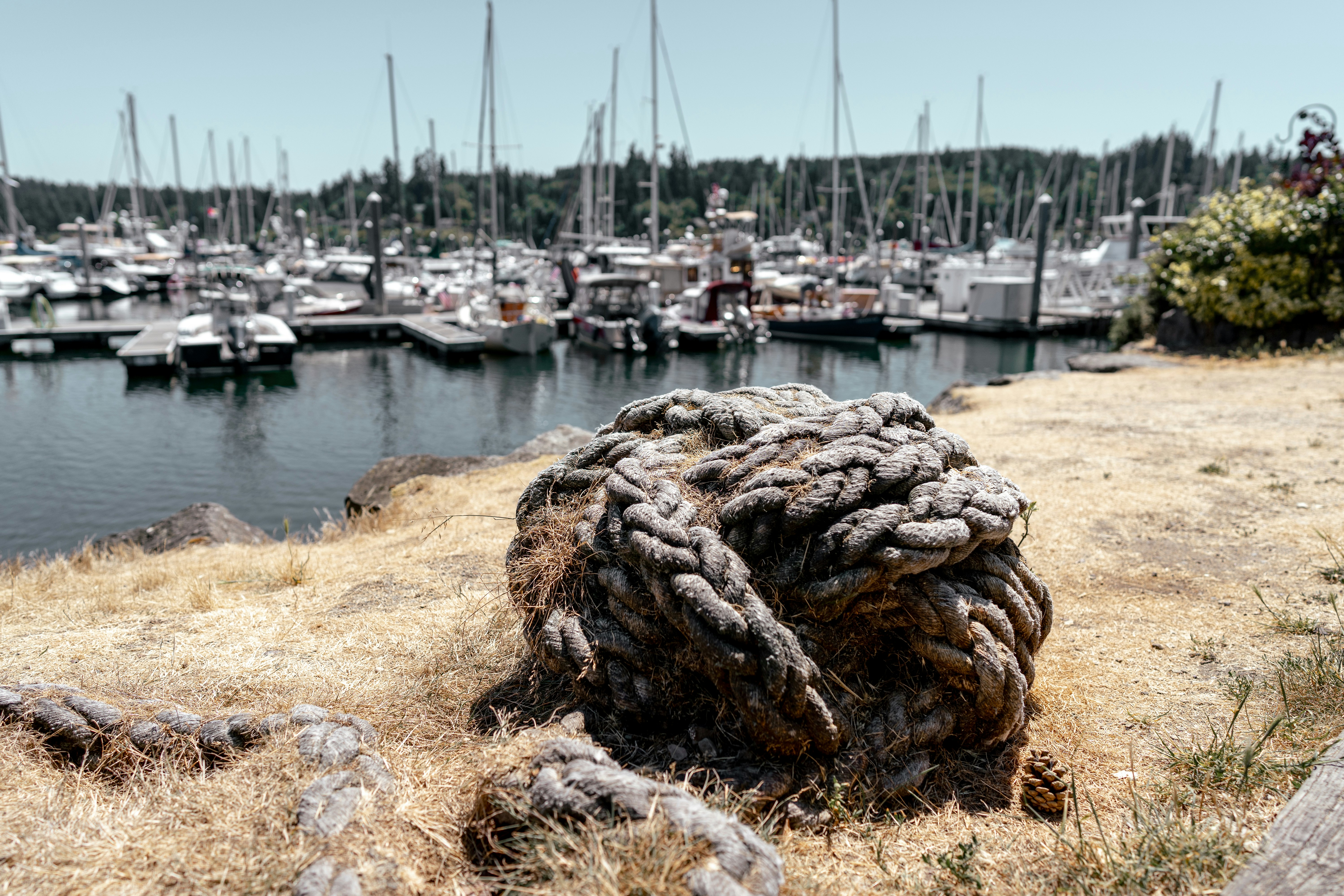 Rope-wrapped Sentinel: A Sea-Front Knot Framing Boats and Dunes