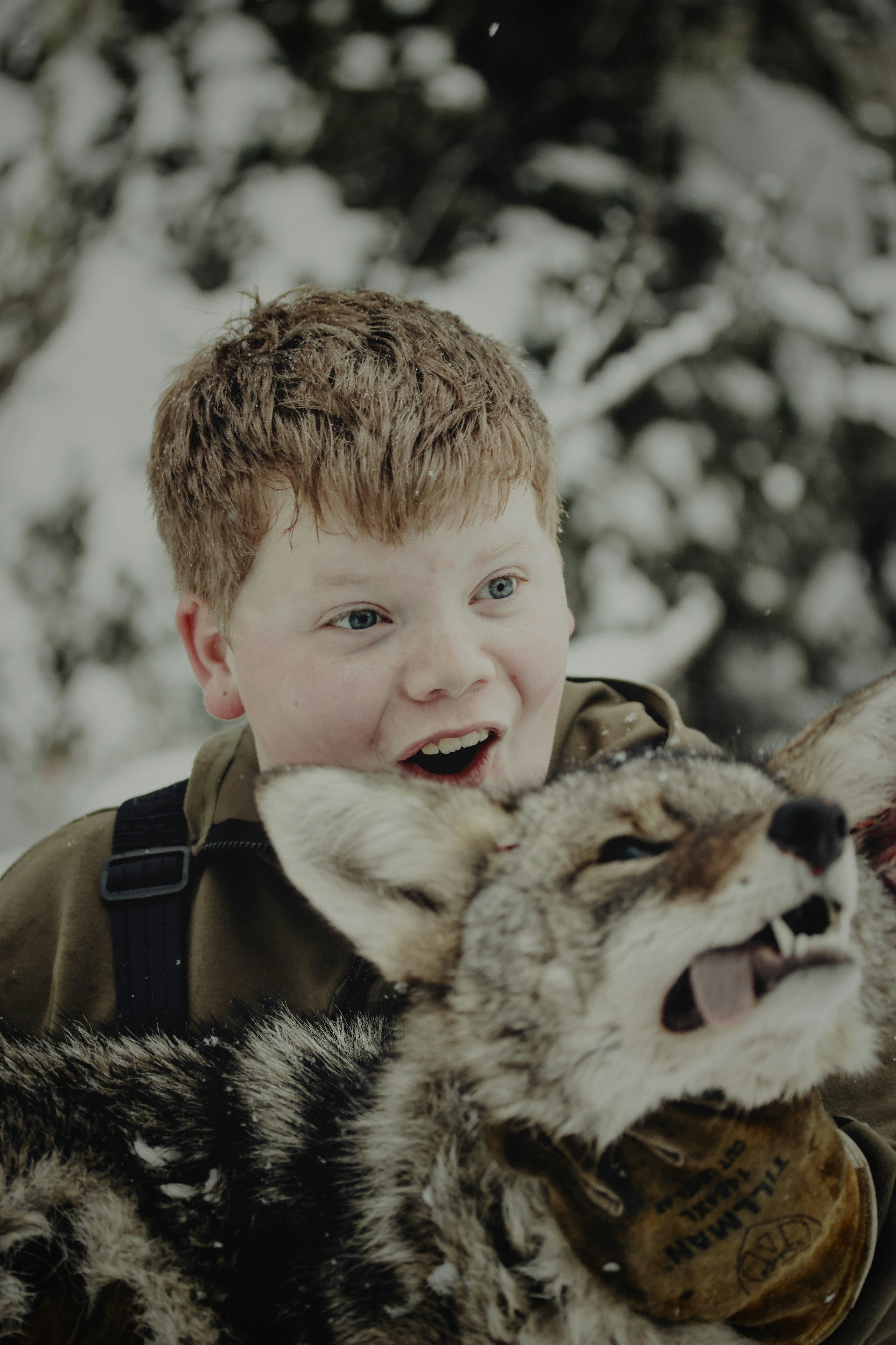 A young boy holding a wolf in the snow photo – Free Portrait Image on ...