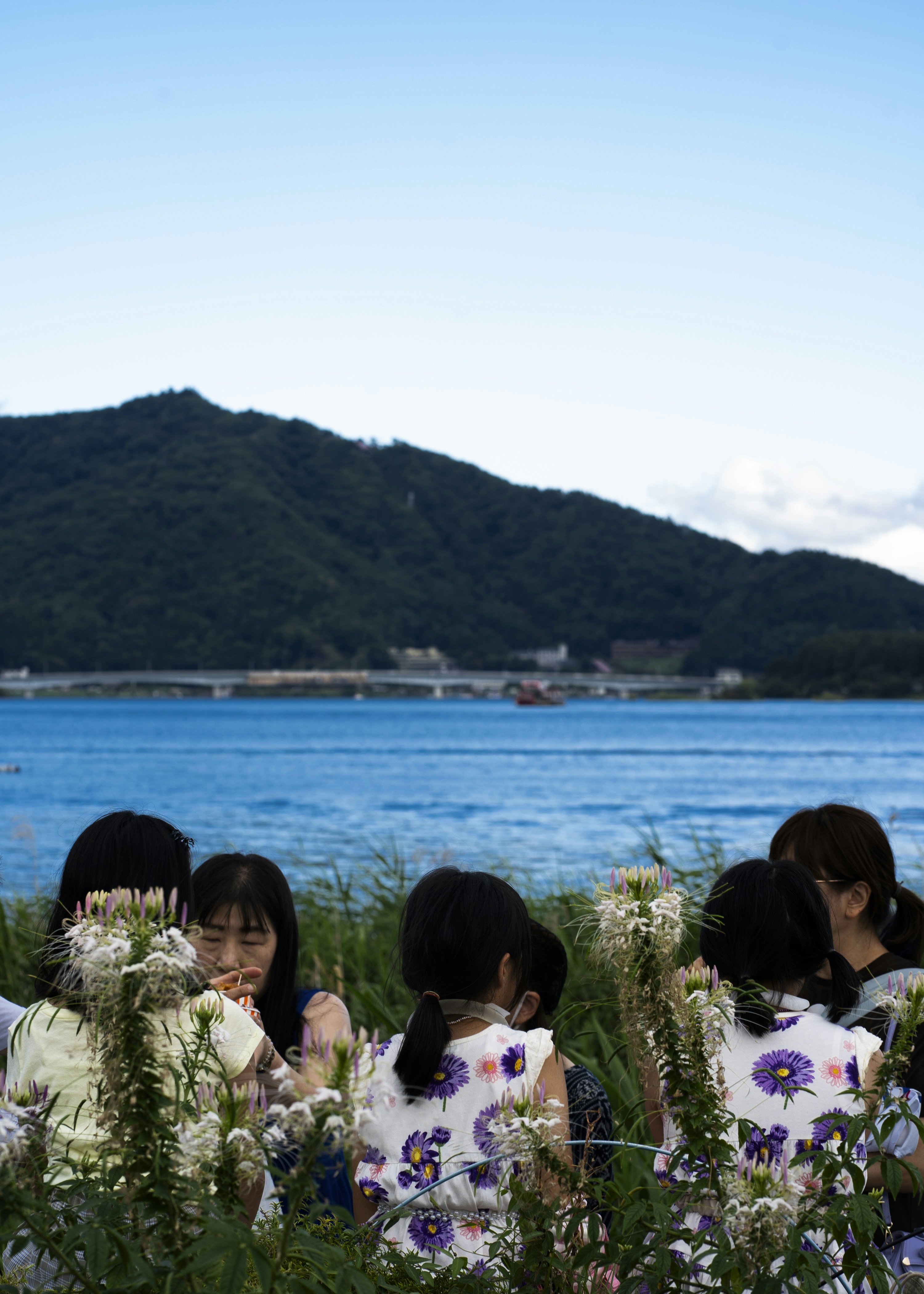Petals by the Lake: A Quiet Portrait Before the Hills
