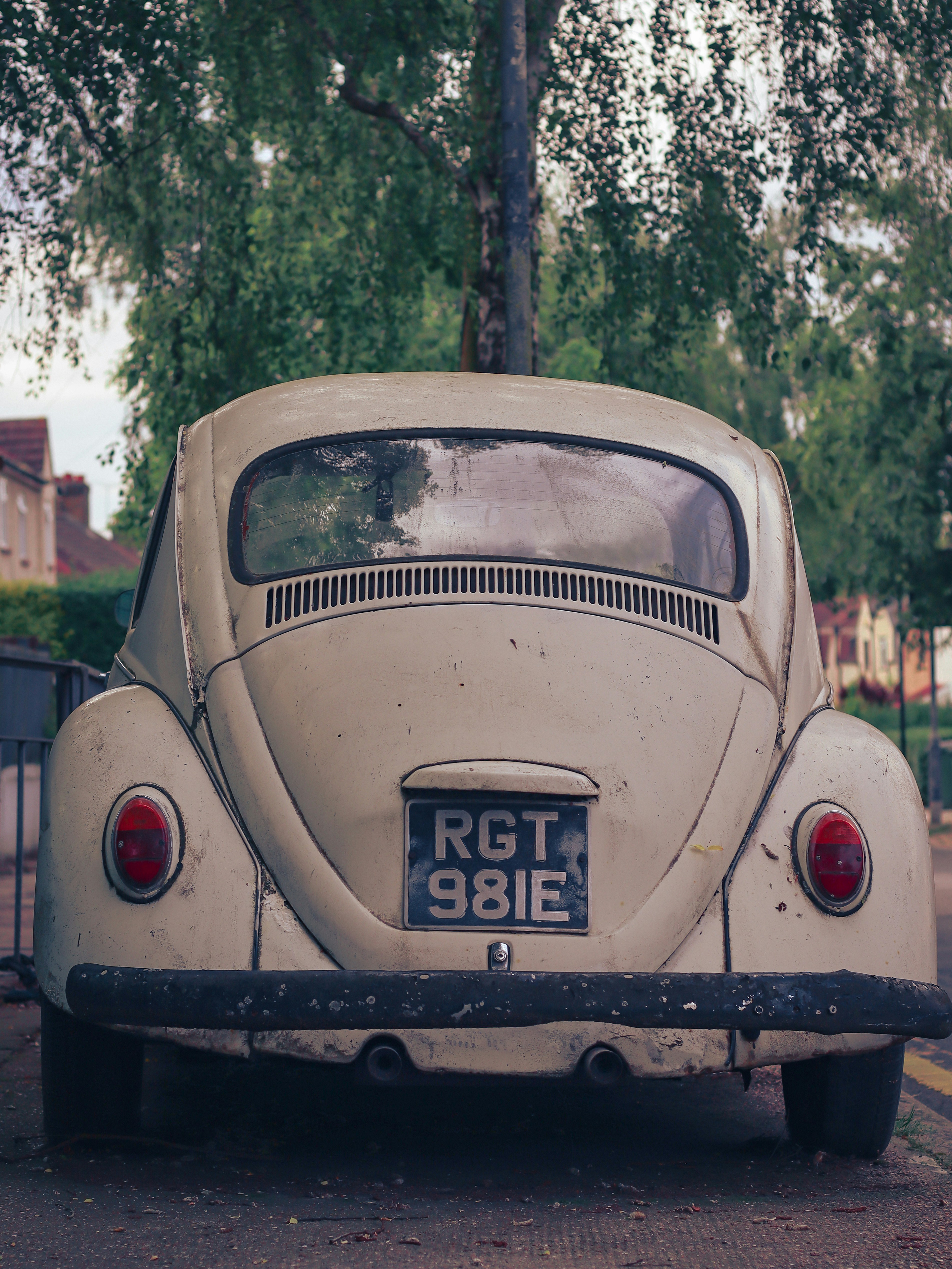 Cream VW Beetle on a Quiet Suburban Street: Timeworn Charm Under Leafy Canopy