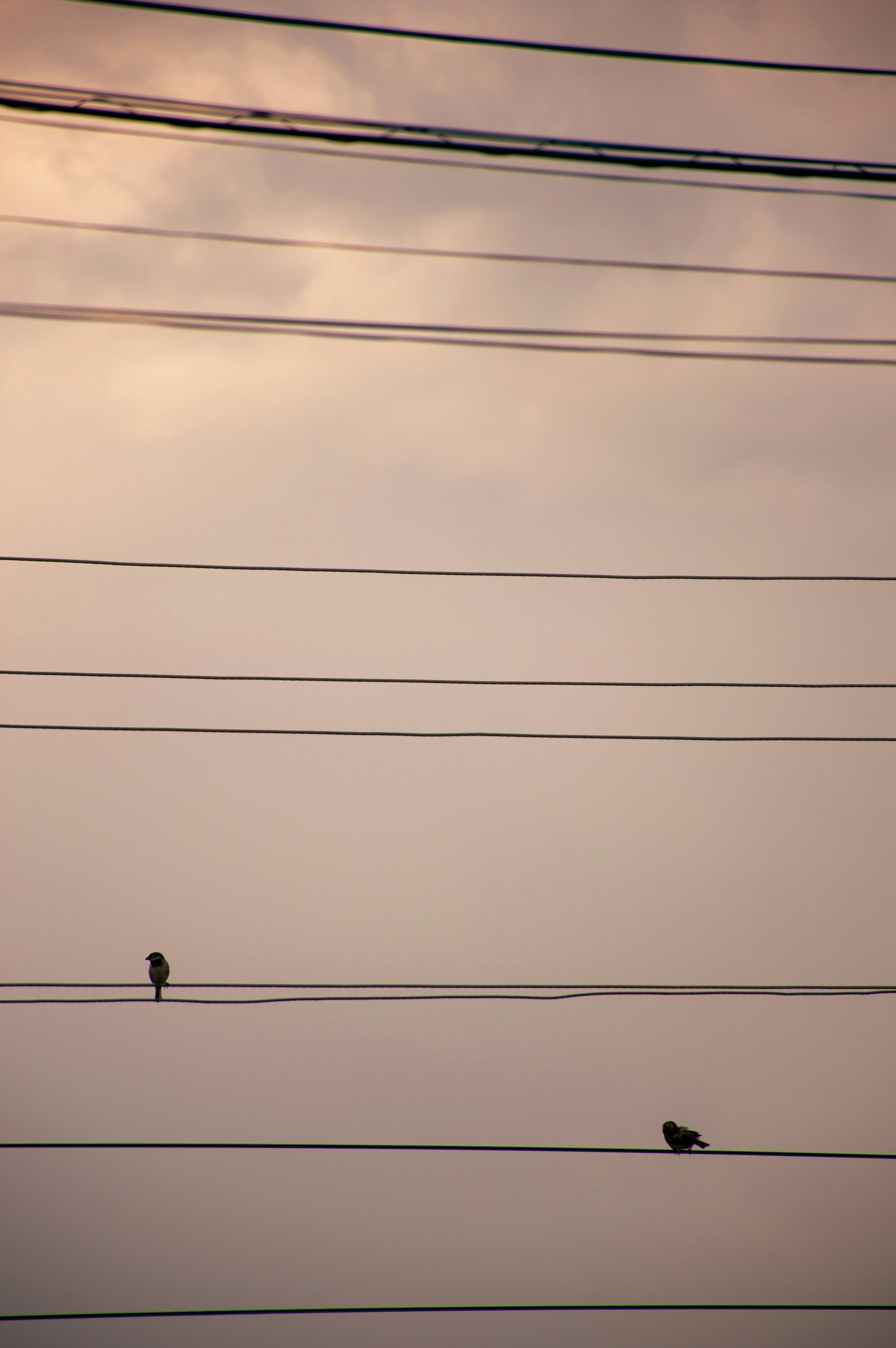 Photo by Doriana Popa with Nikon D3200