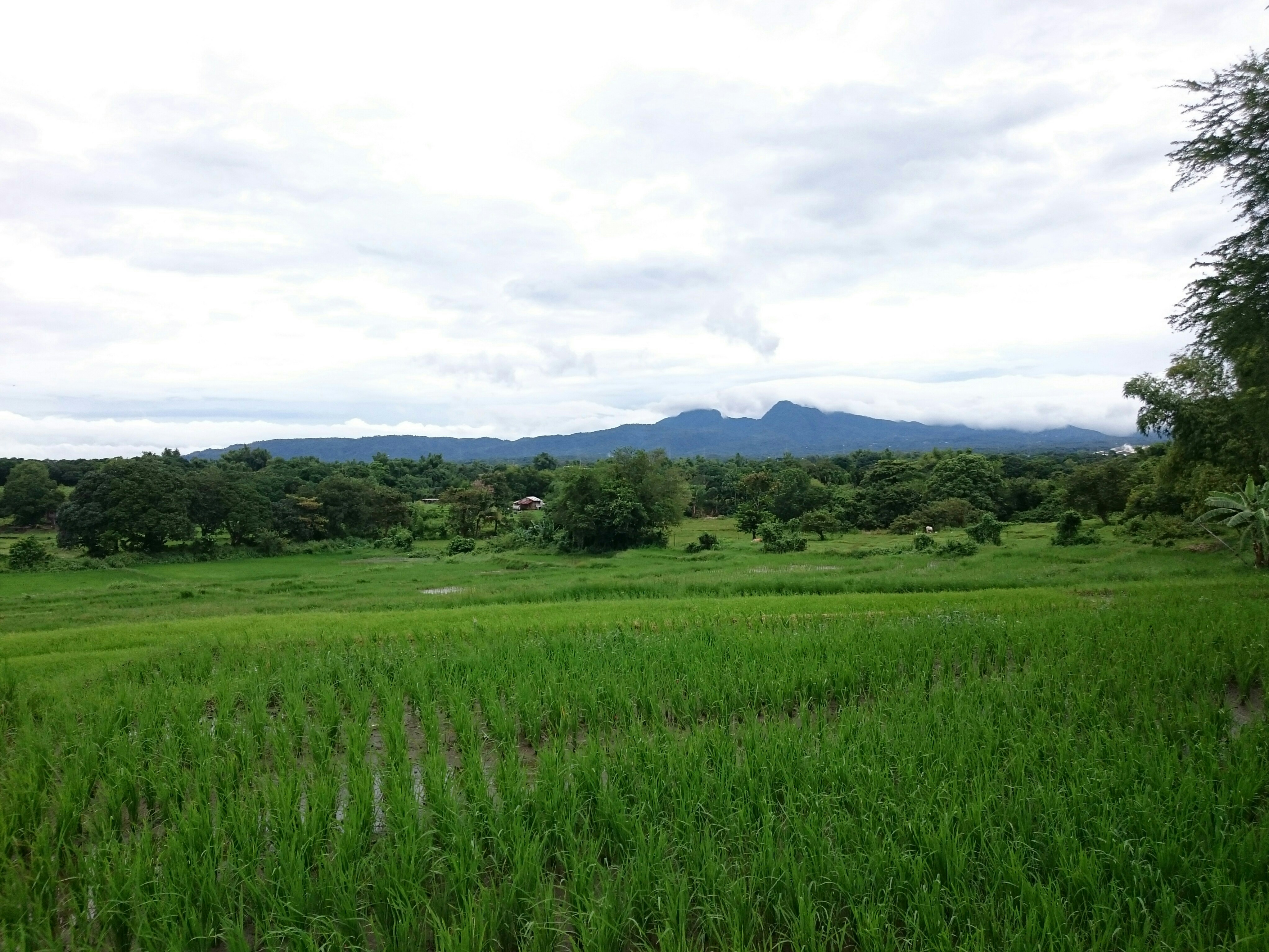 Photo by Lhar Capili with Sony Xperia Z3