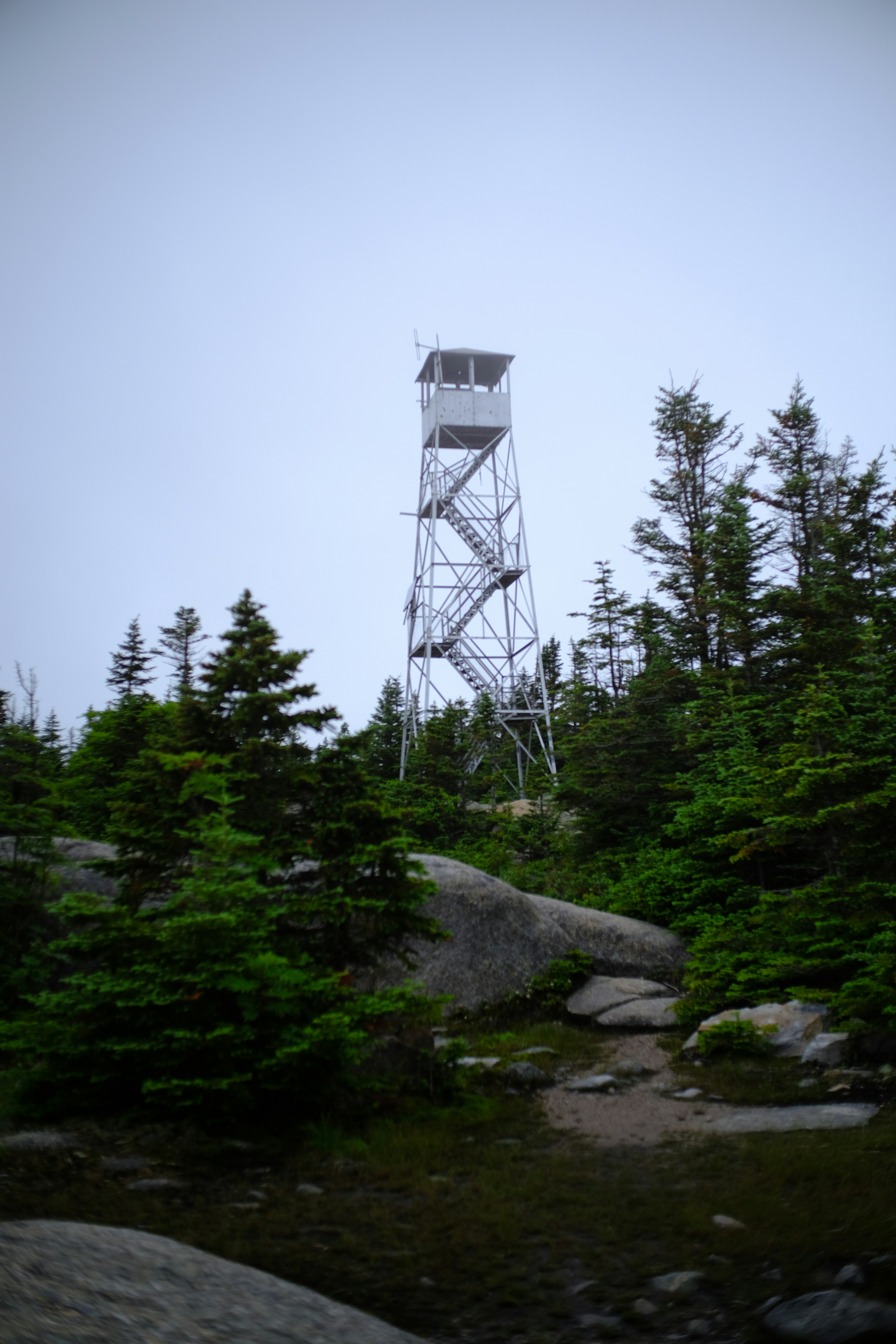 Tower Among Pines: A Metal Watchtower Stands Tall in Forested Terrain