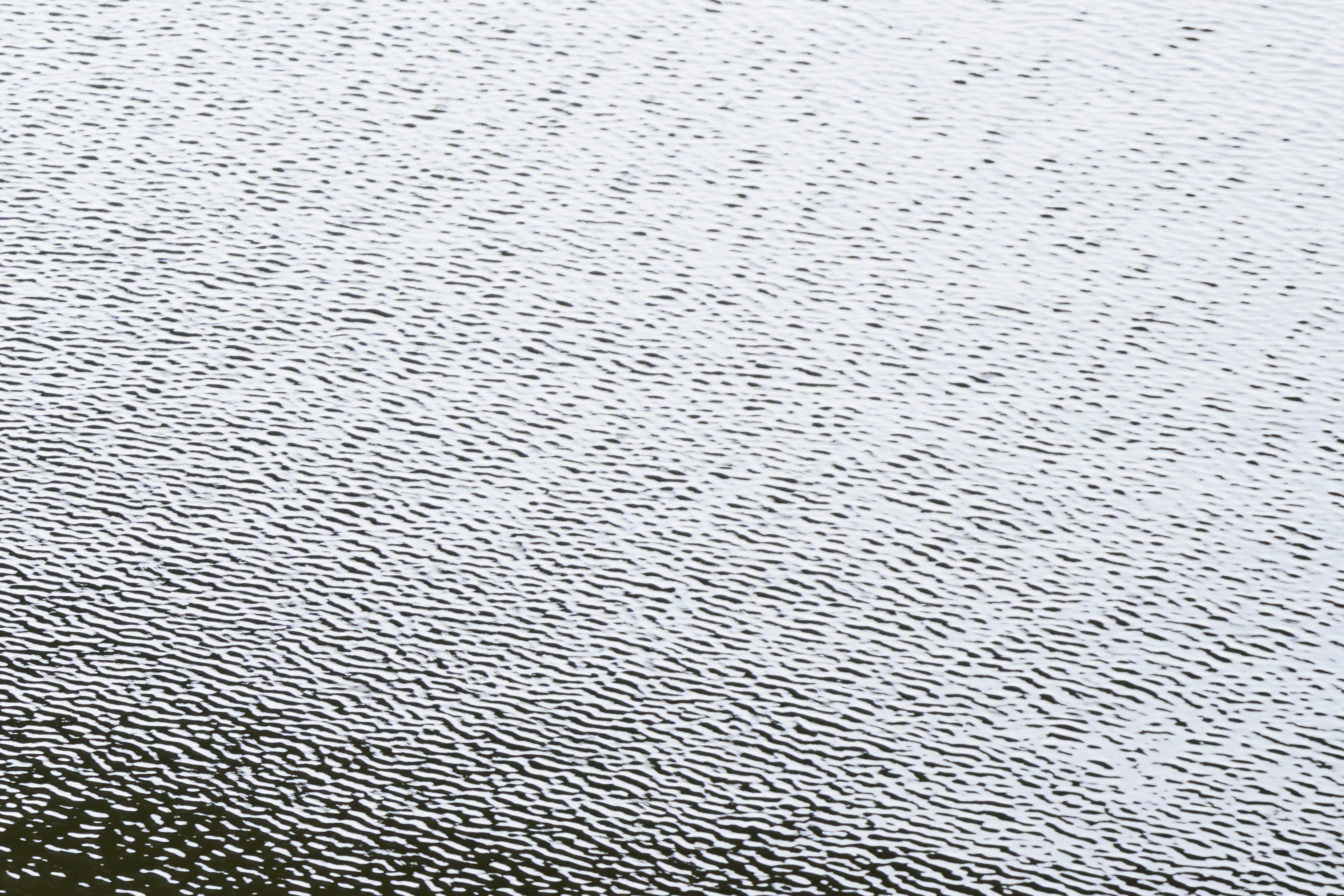 Monochrome Rippletide: A Minimalist Water Texture