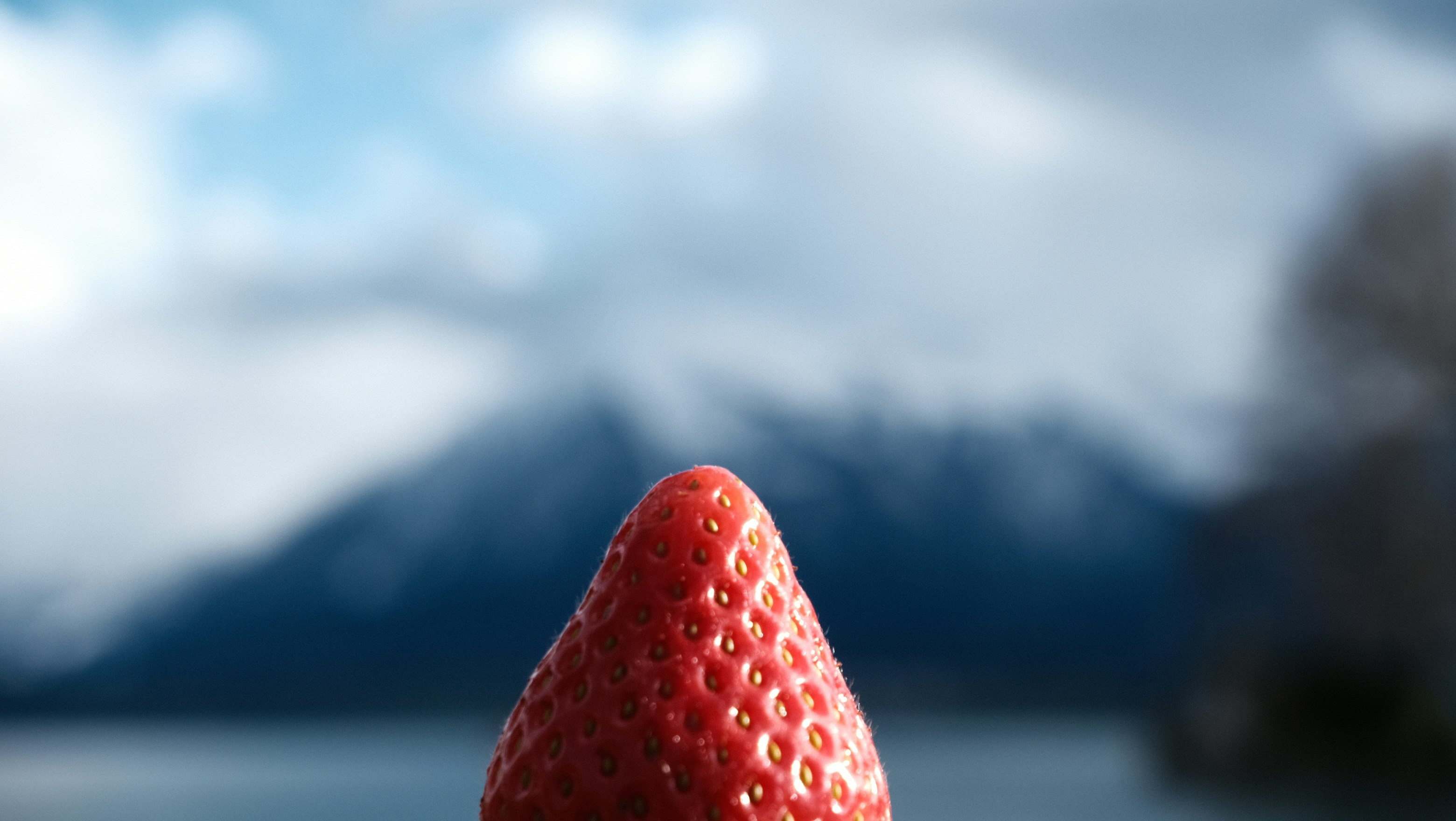 Photo by SC Cui with Fujifilm X-T30 II