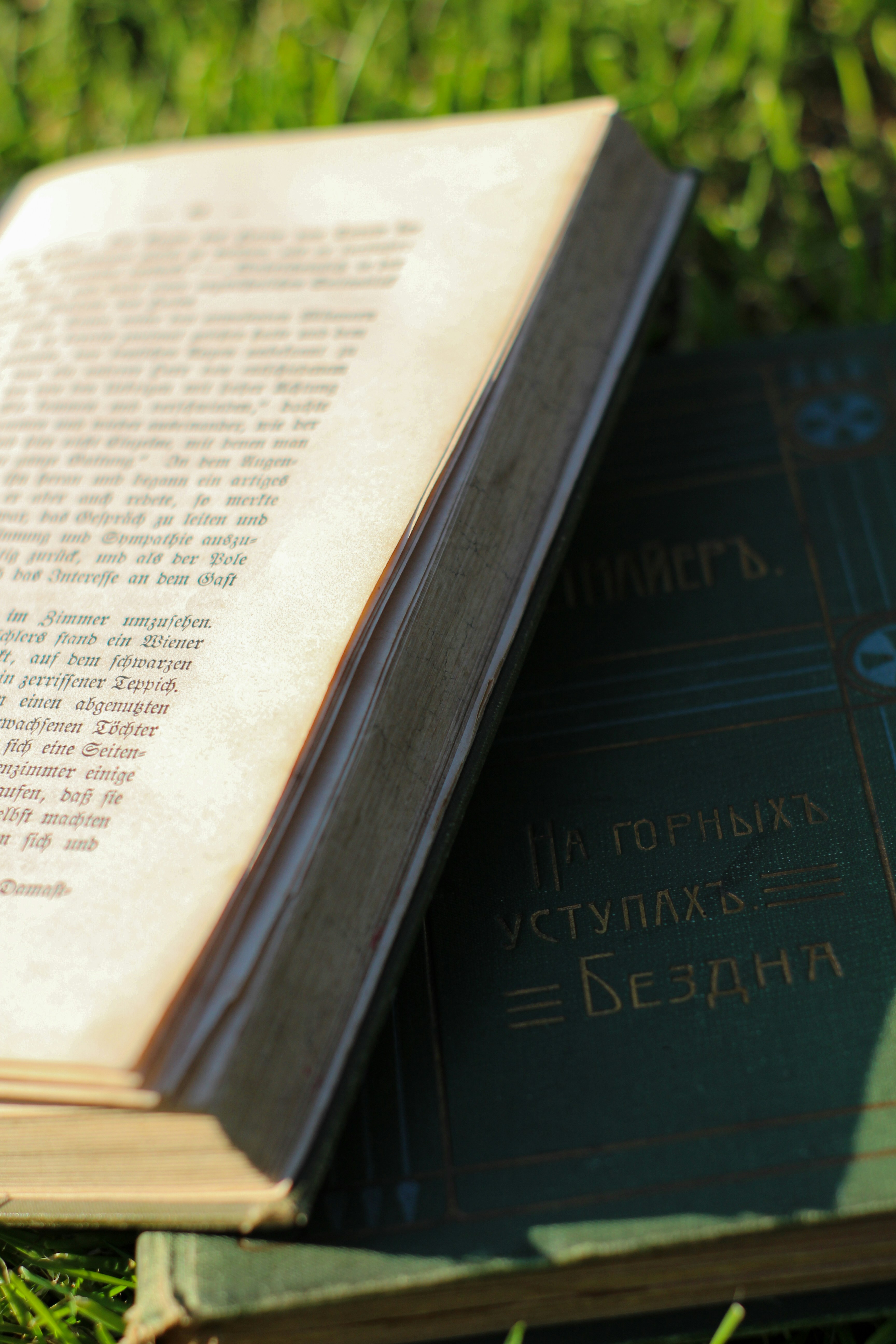 Sunlit Open Pages on Grass: Antiquarian Books in Quiet Light