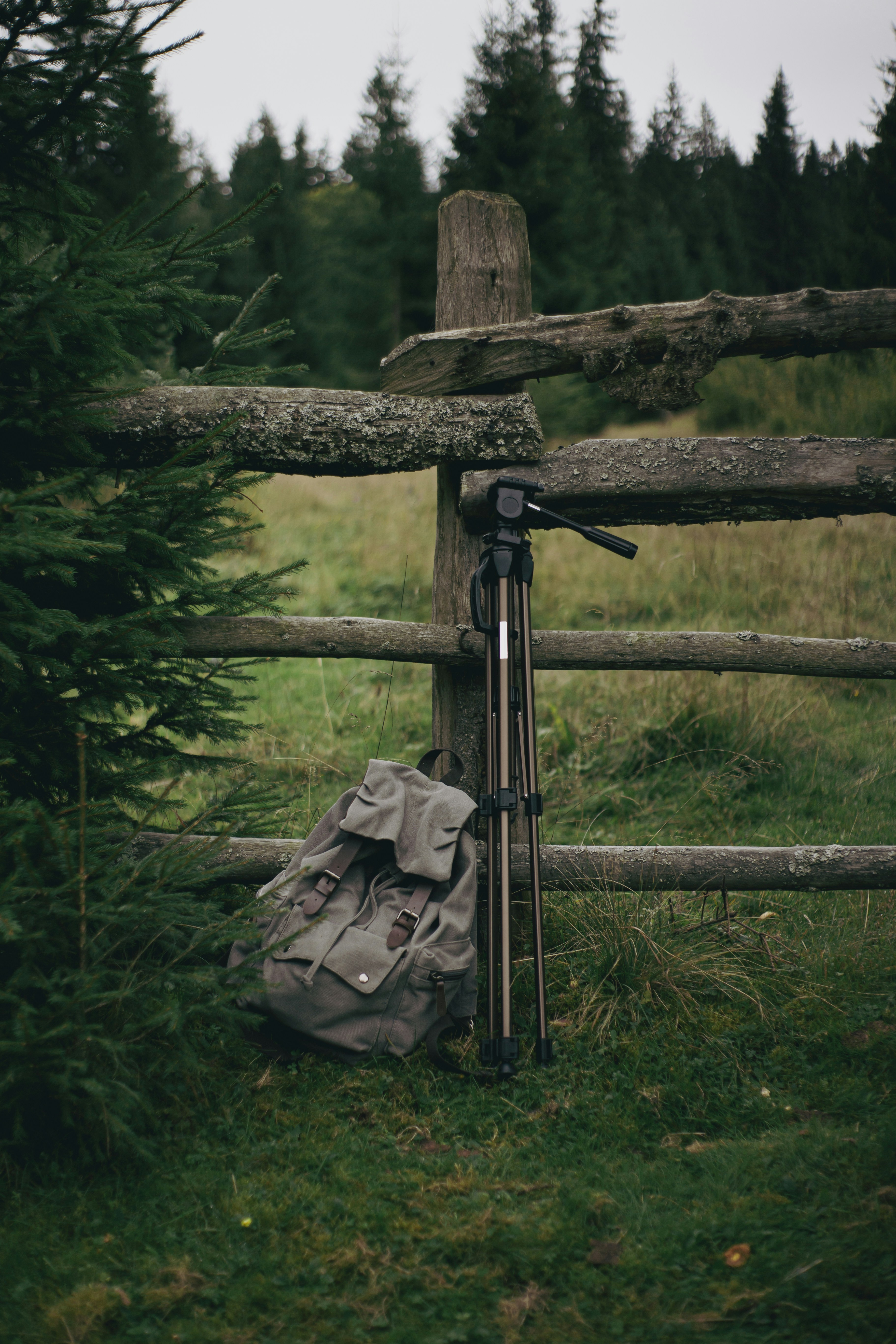Fence-Edge Field Kit: Tripod, Backpack, and Quiet Forest