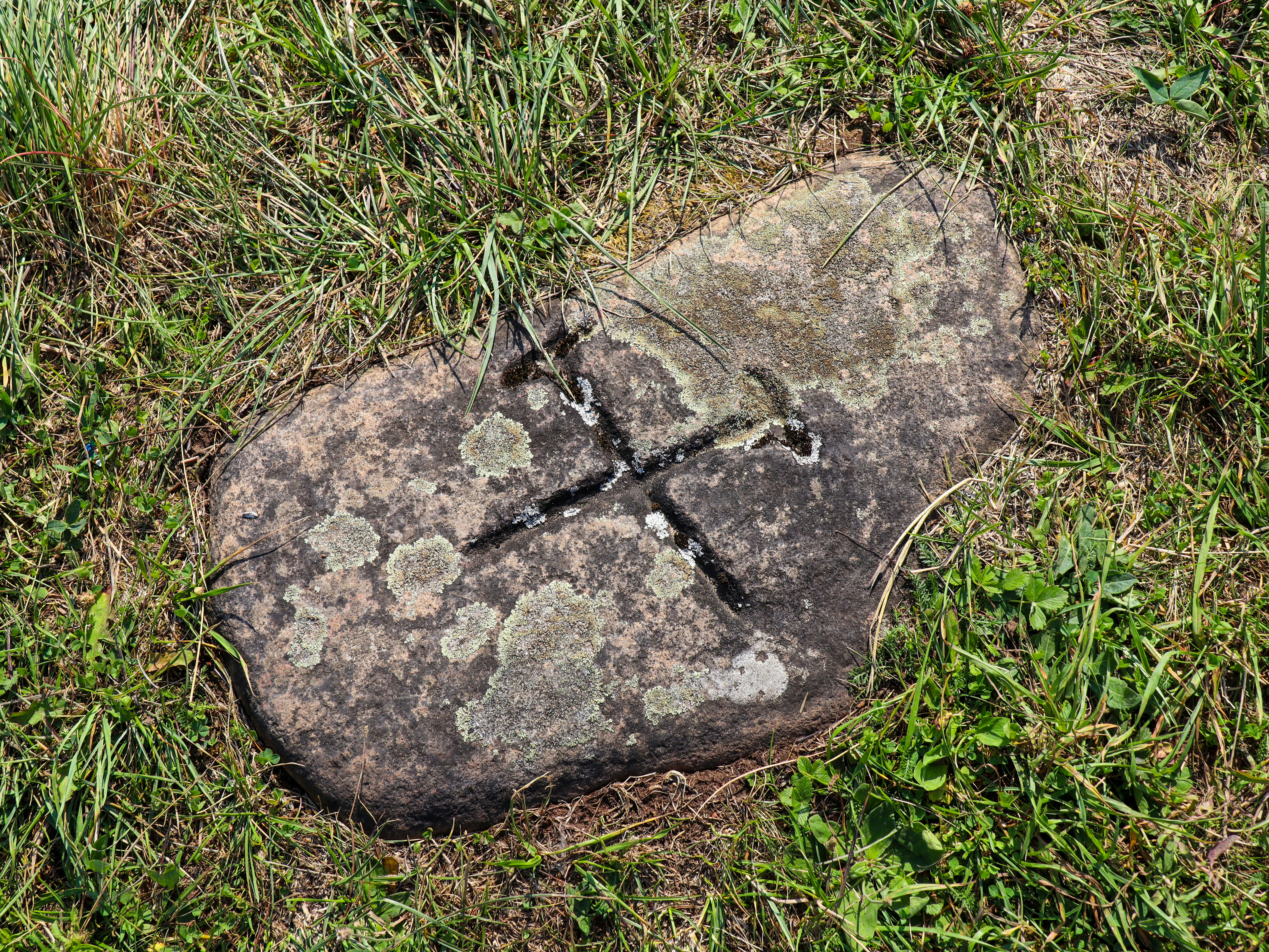 Lichen-veiled Cross Stone Resting in Grass