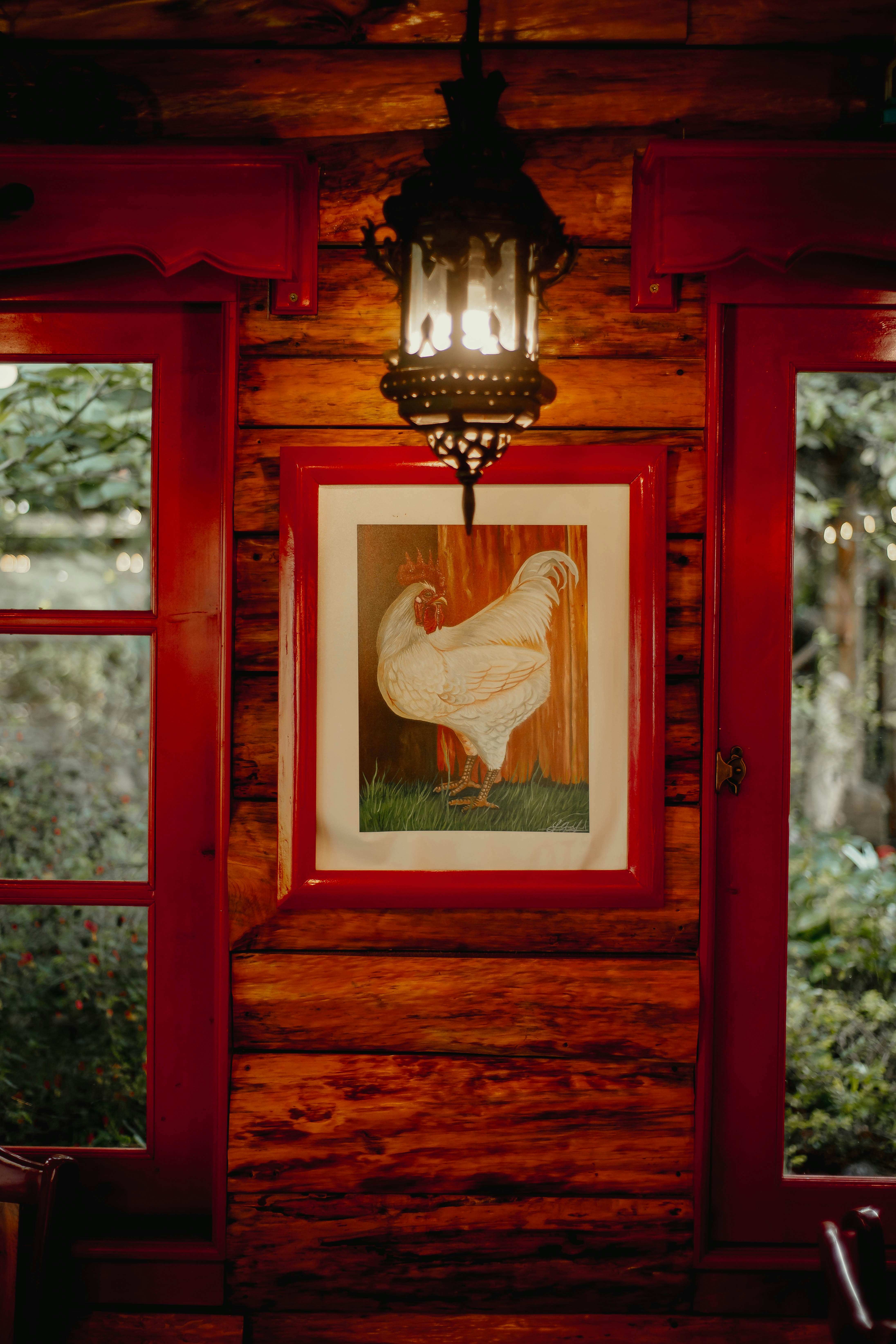 Lantern Glow on a Rooster Portrait