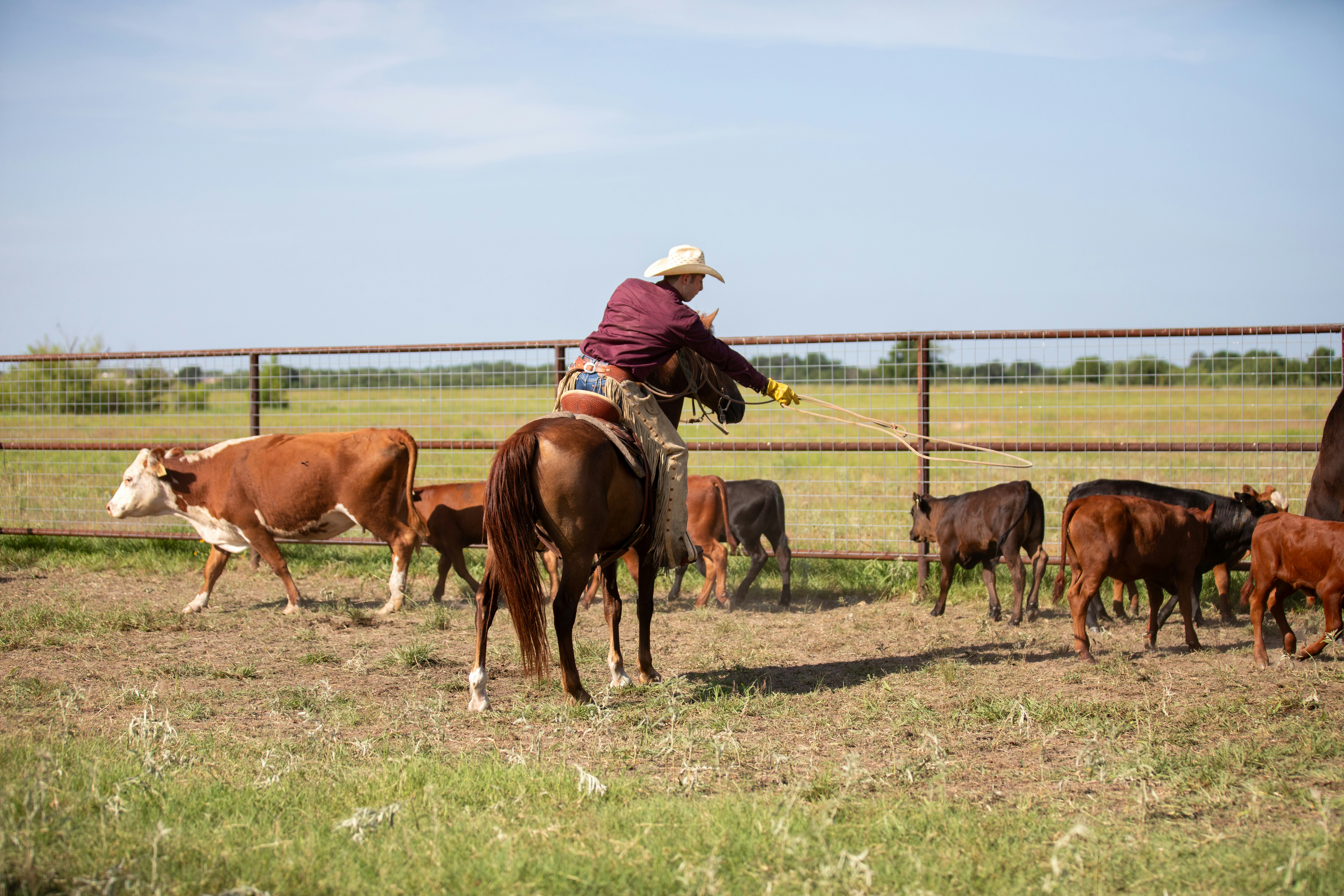 Photo by Howard R Wheeler with Canon EOS 5D Mark IV