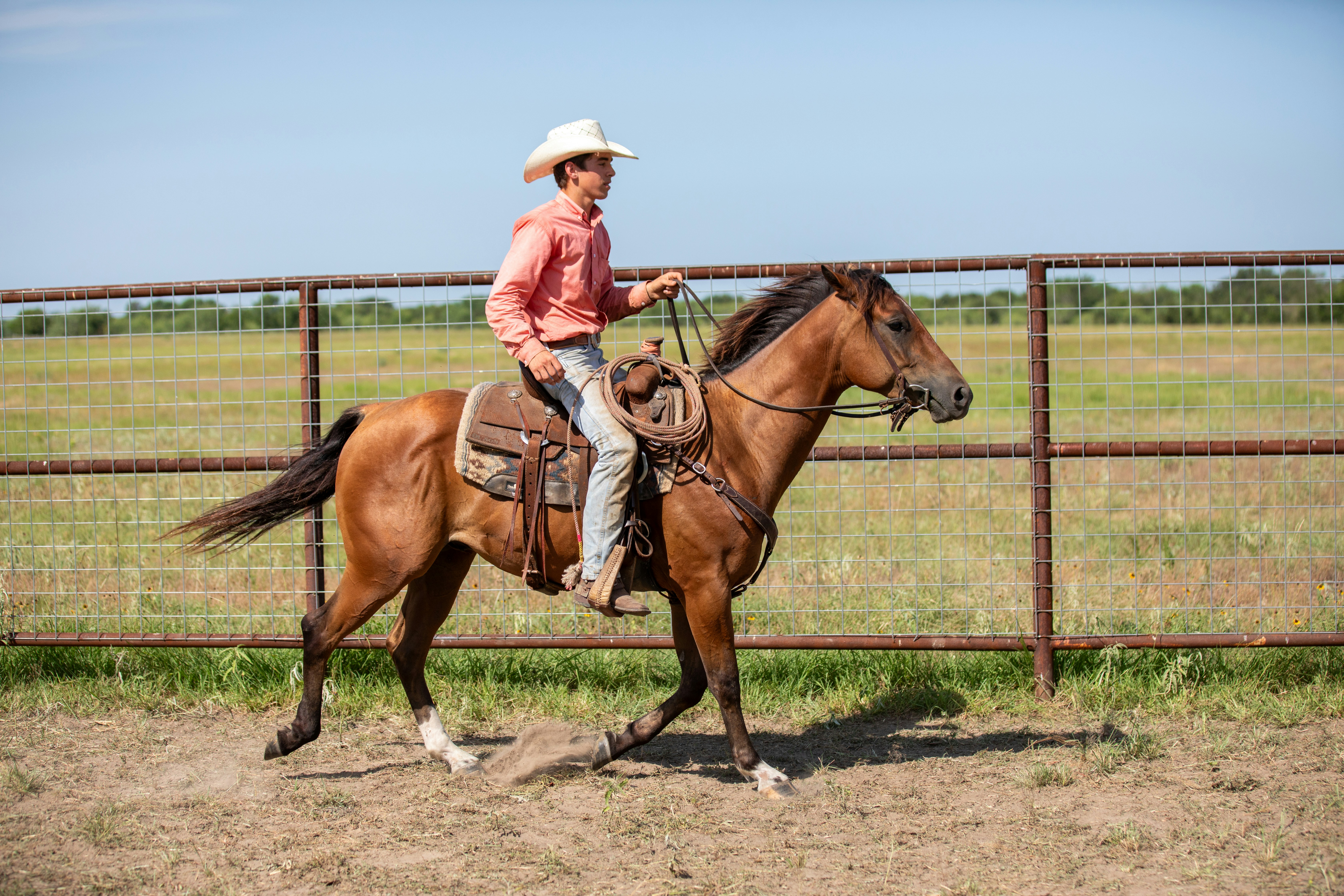 A man riding on the back of a brown horse photo – Free Animal Image on ...