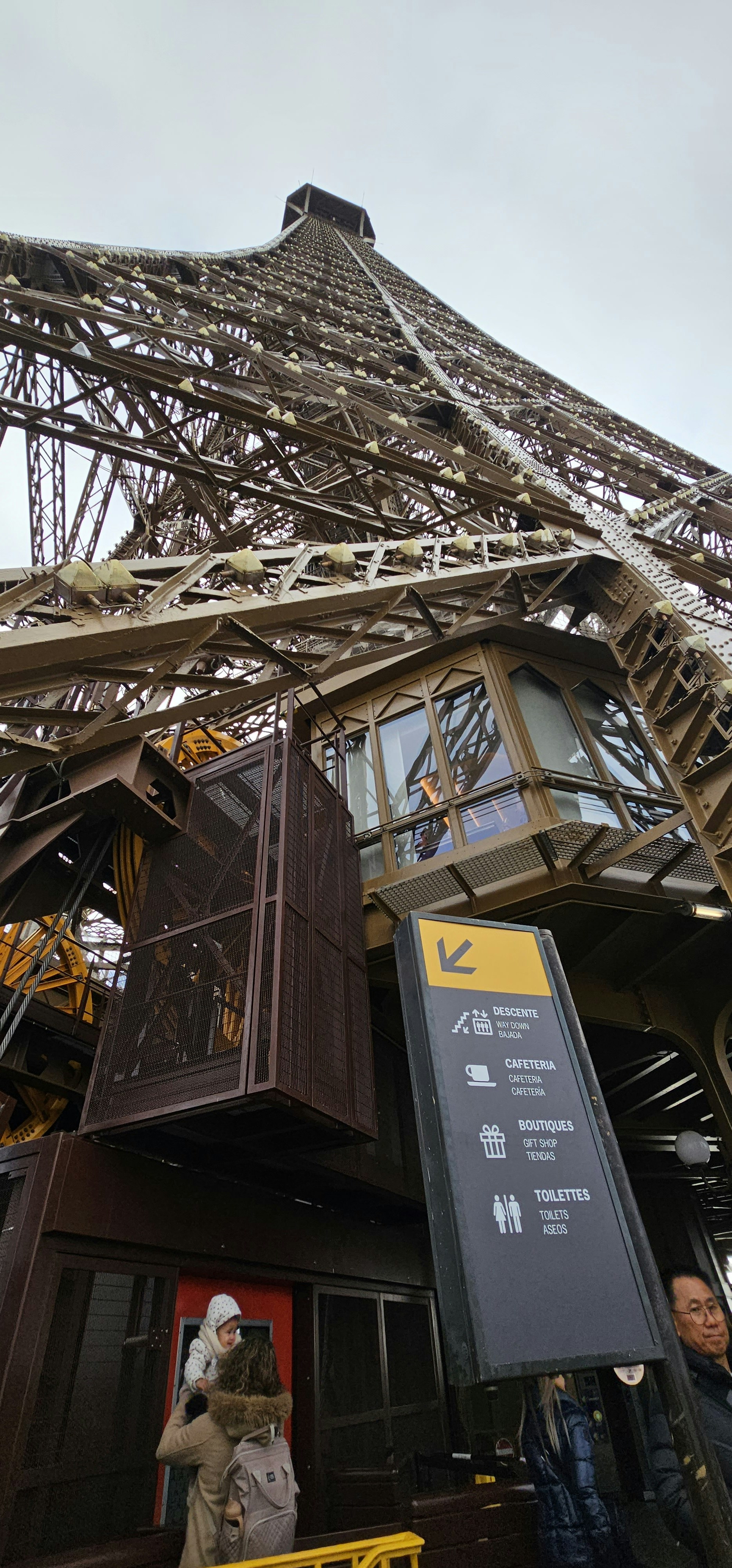 Steel Lace Ascends: Ground-Up Perspective on a Landmark Tower