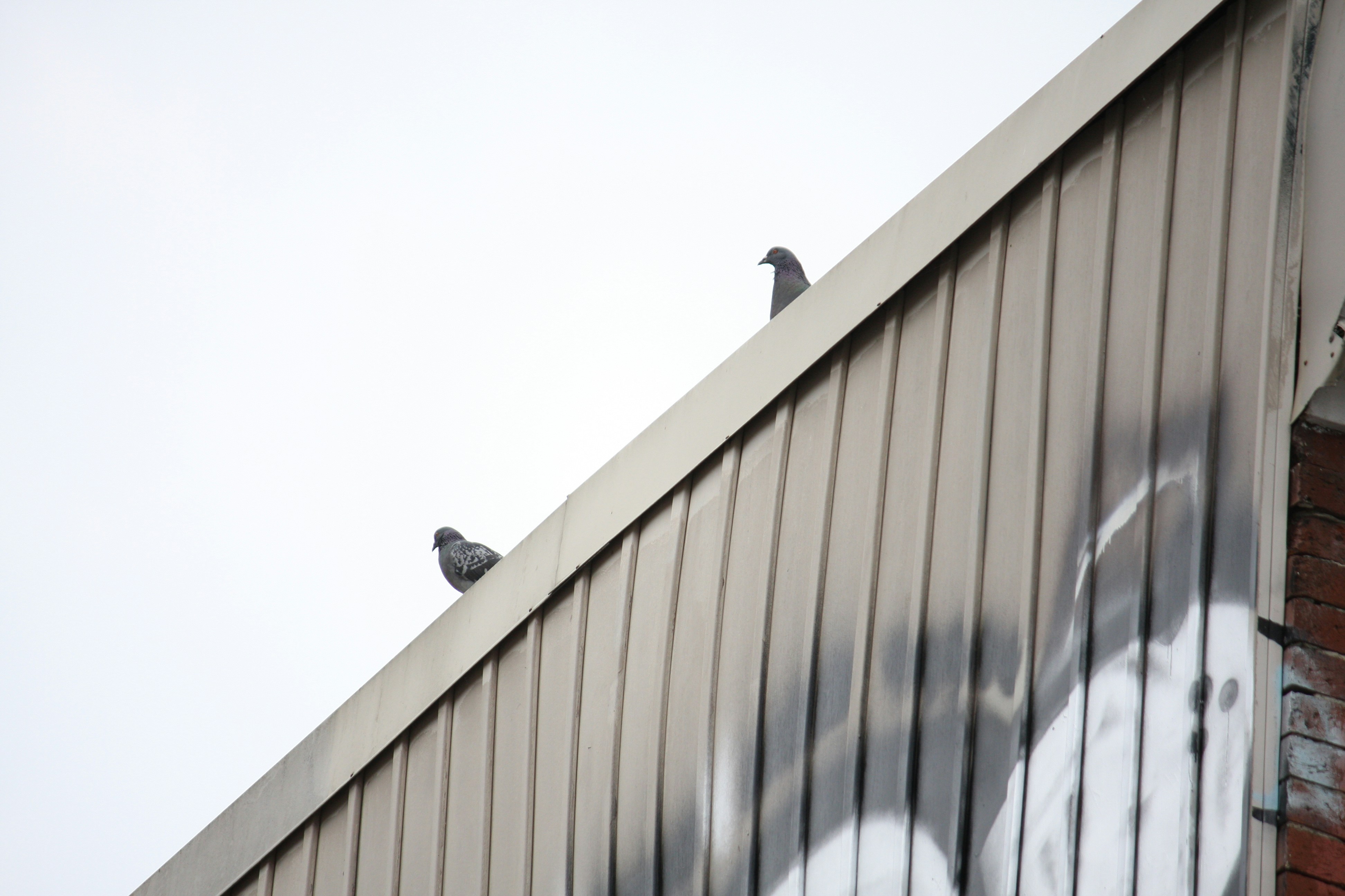 Photo by Jaykumar Bherwani with Canon EOS 40D