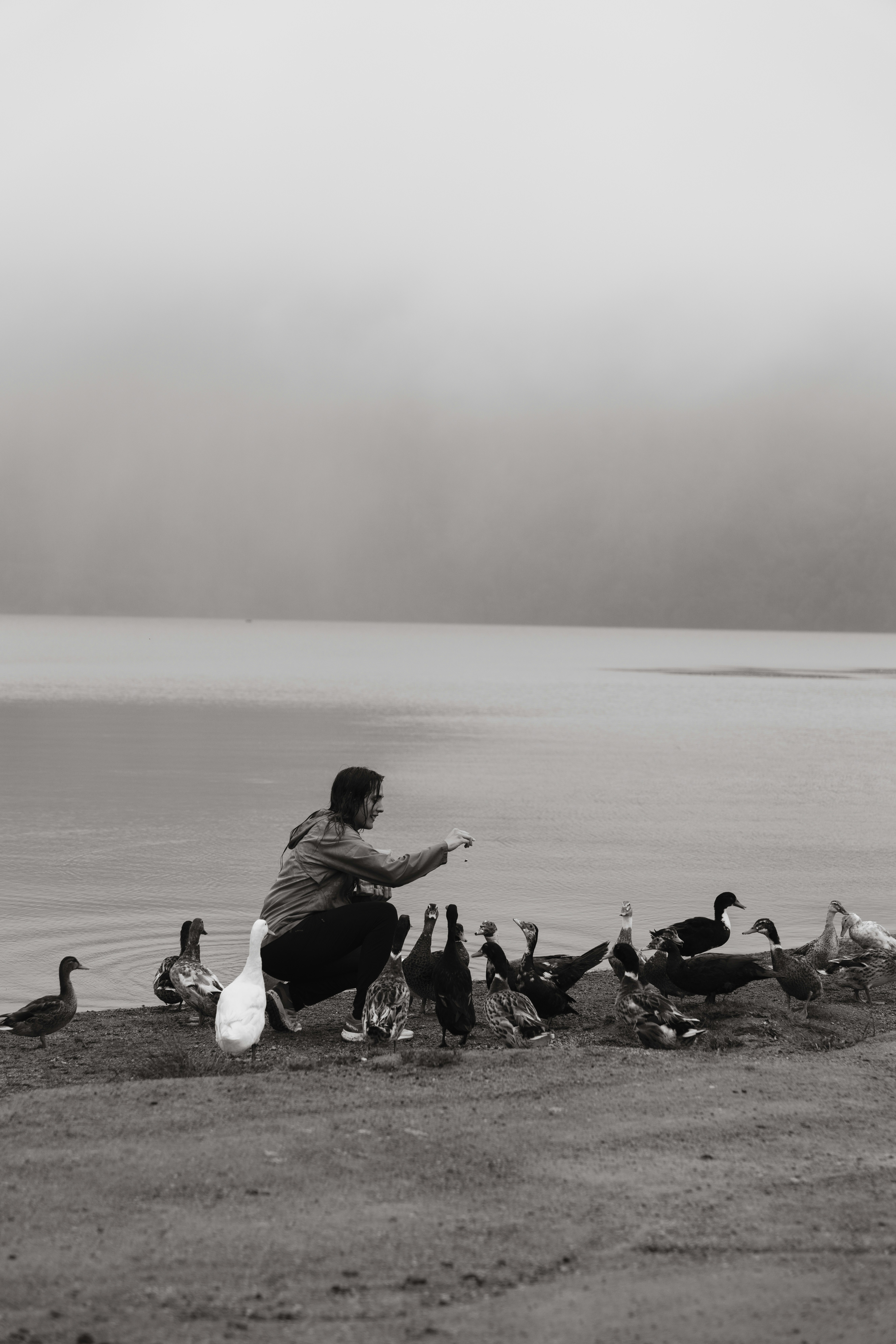 Hand-Feeding by the Lake: A Quiet Moment with Ducks