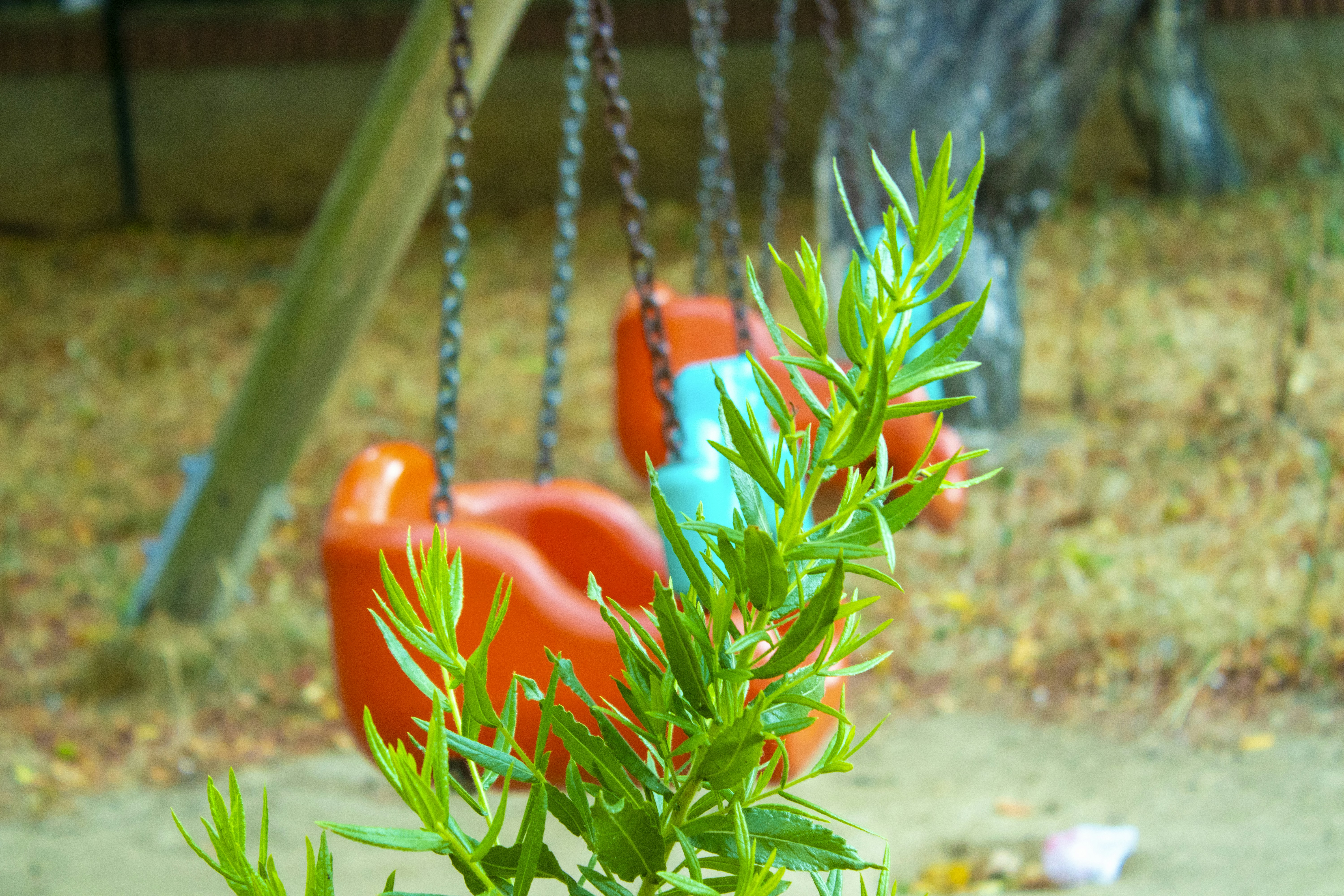 Sprig in Focus: Bright Green Detail Against a Colorful Playground Backdrop