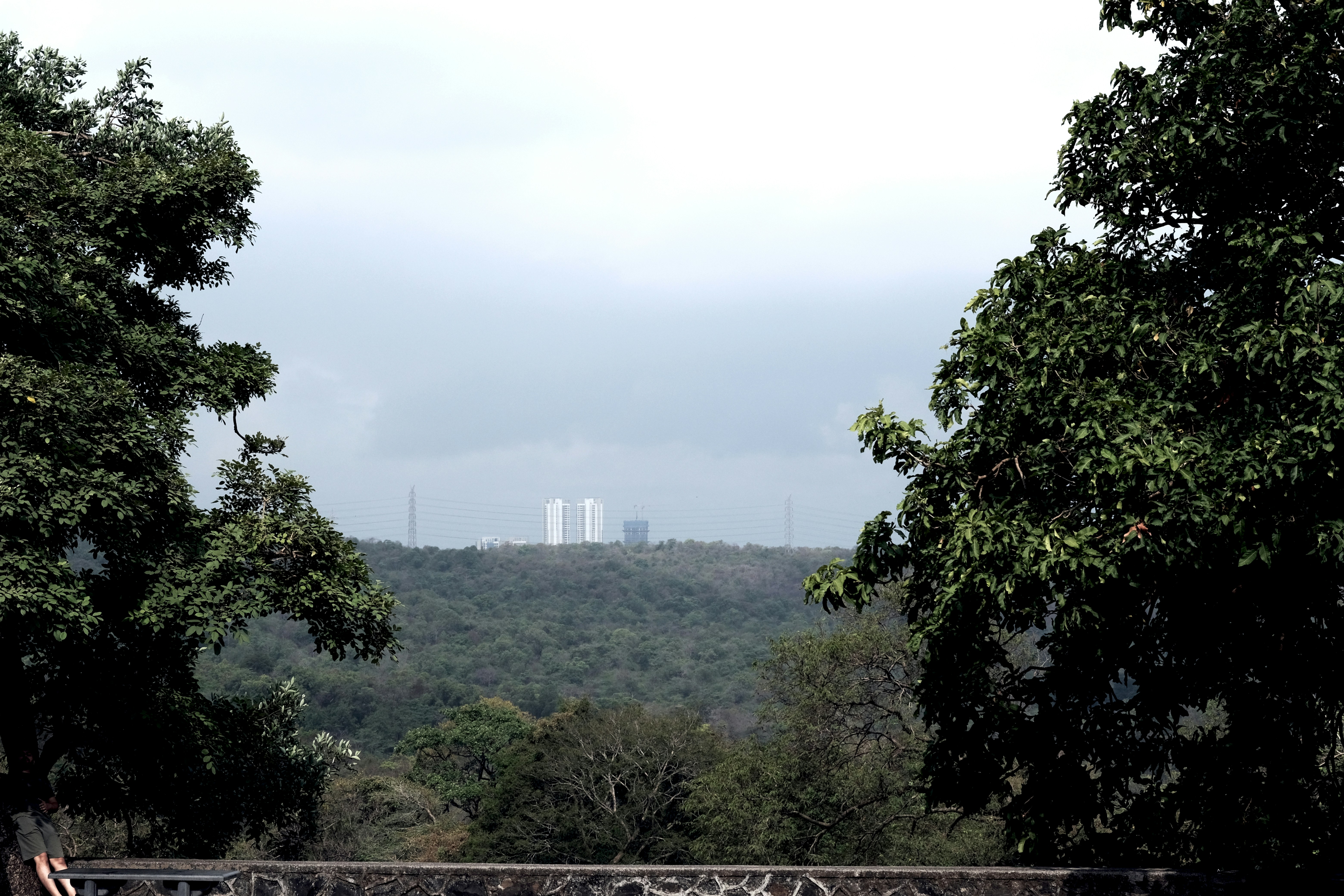 Distant Skyline Beyond a Framed Green Canyon