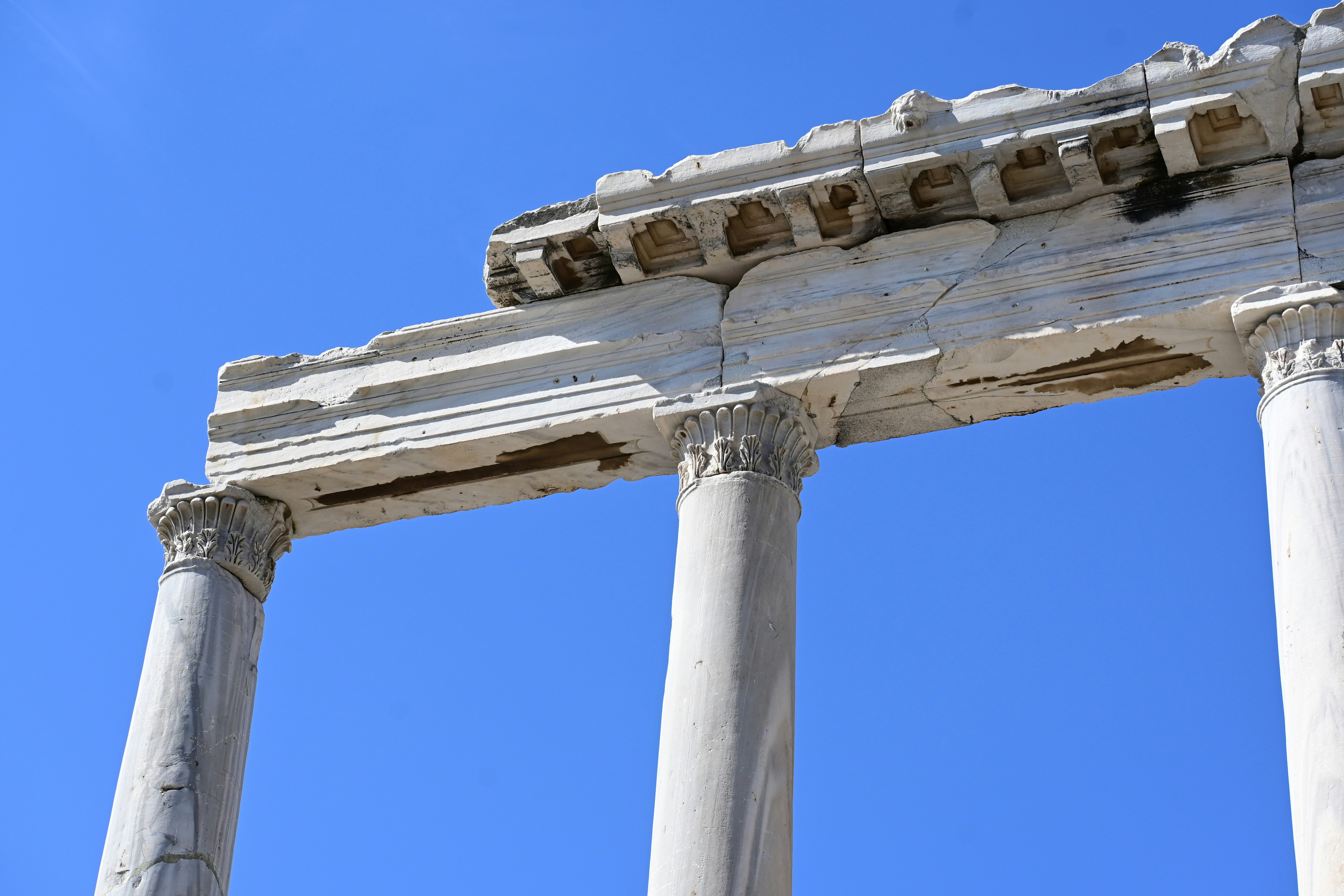 Photo by Project:KENO with Nikon Zfc