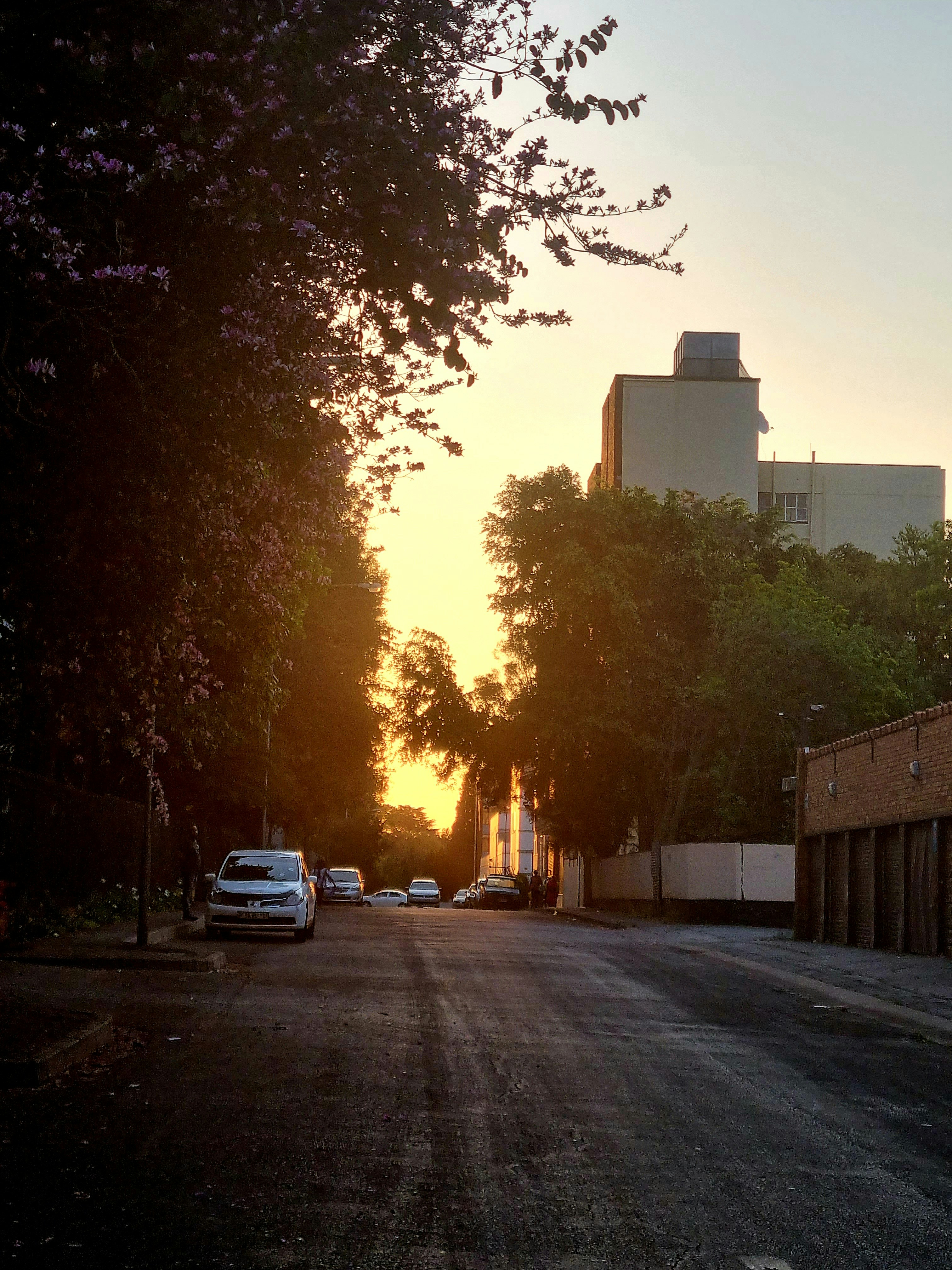 Sunset Vanishing Point: A Quiet Street Carved by Light